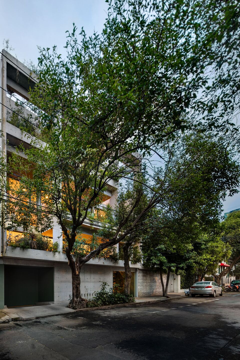 Gallery of DGB | Estudio MMX | Media - 5