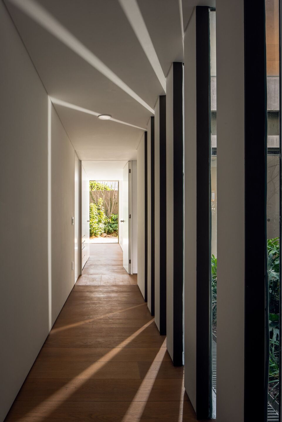 Gallery of DGB | ESTUDIO MMX | Media - 16