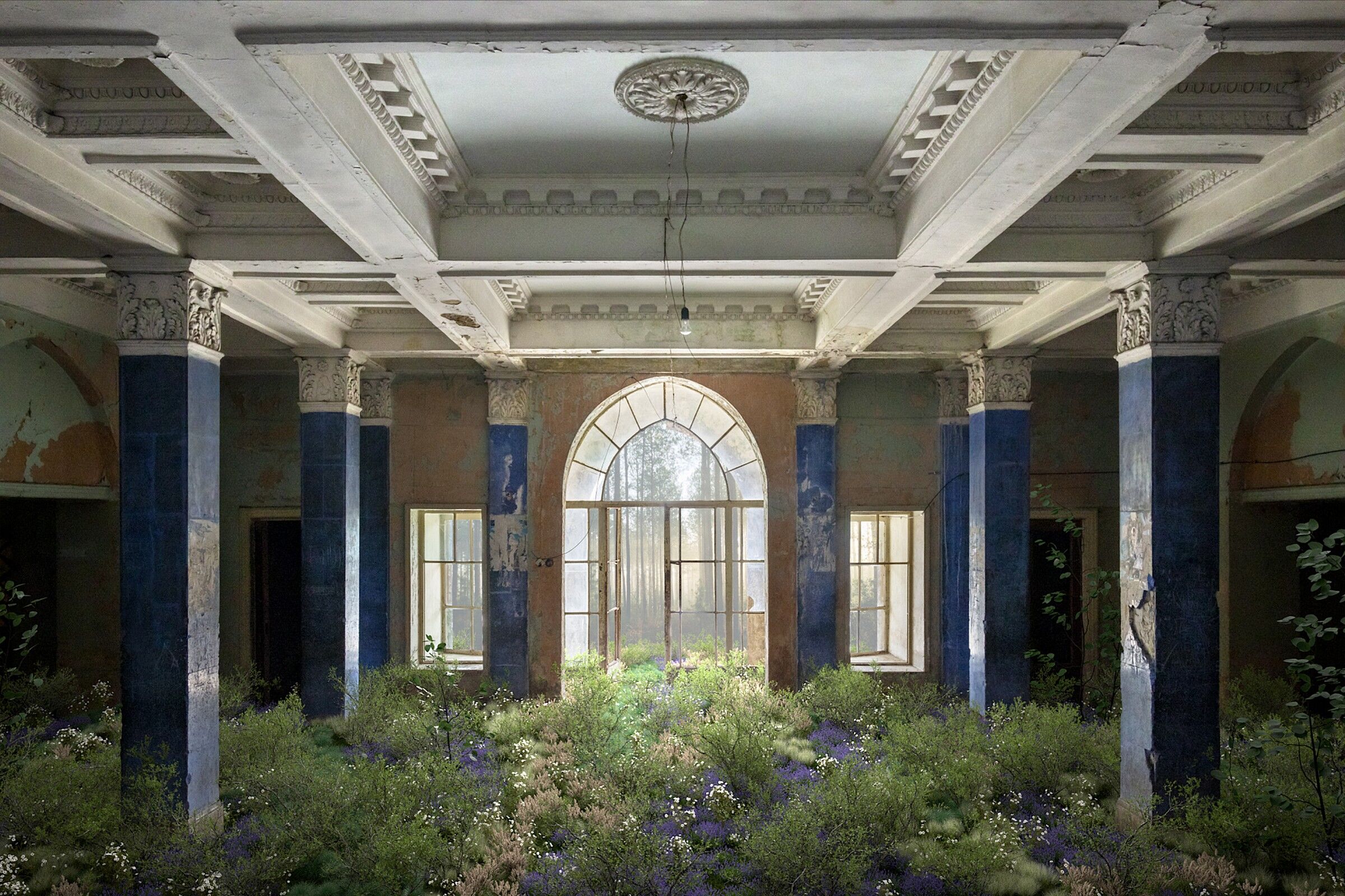 The Wild Within | Ryan Koopmans | Archello