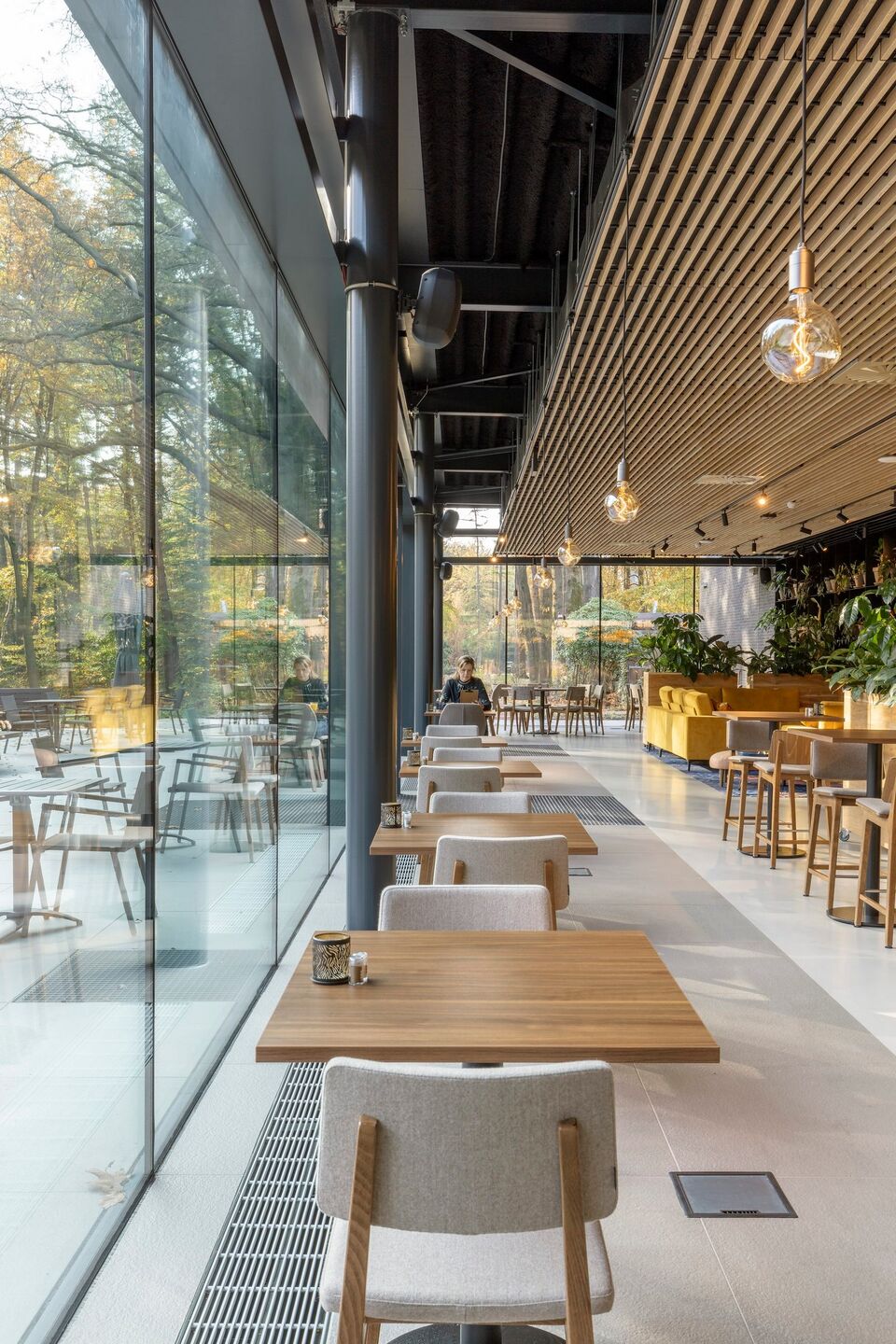 Discover Suspended ceilings Restaurants Design Ideas and Pictures ...