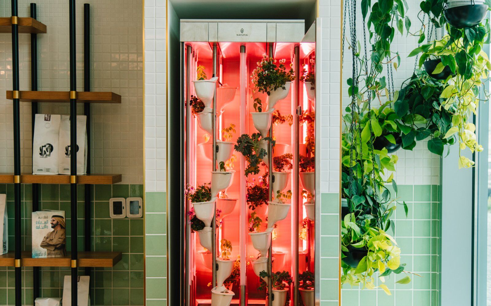 Flow Dubai | Natufia | Archello