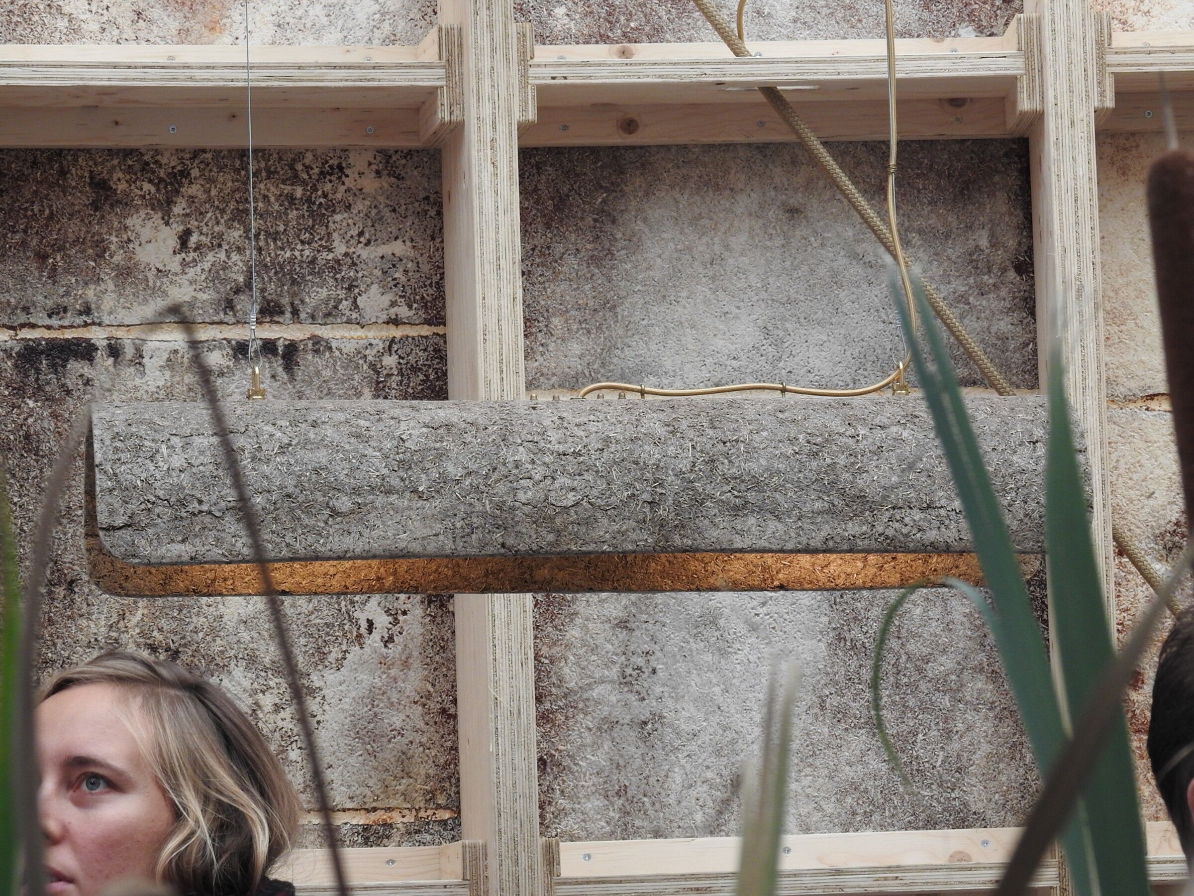 Gallery of The Growing Pavilion | Biobased Creations | Media - 19