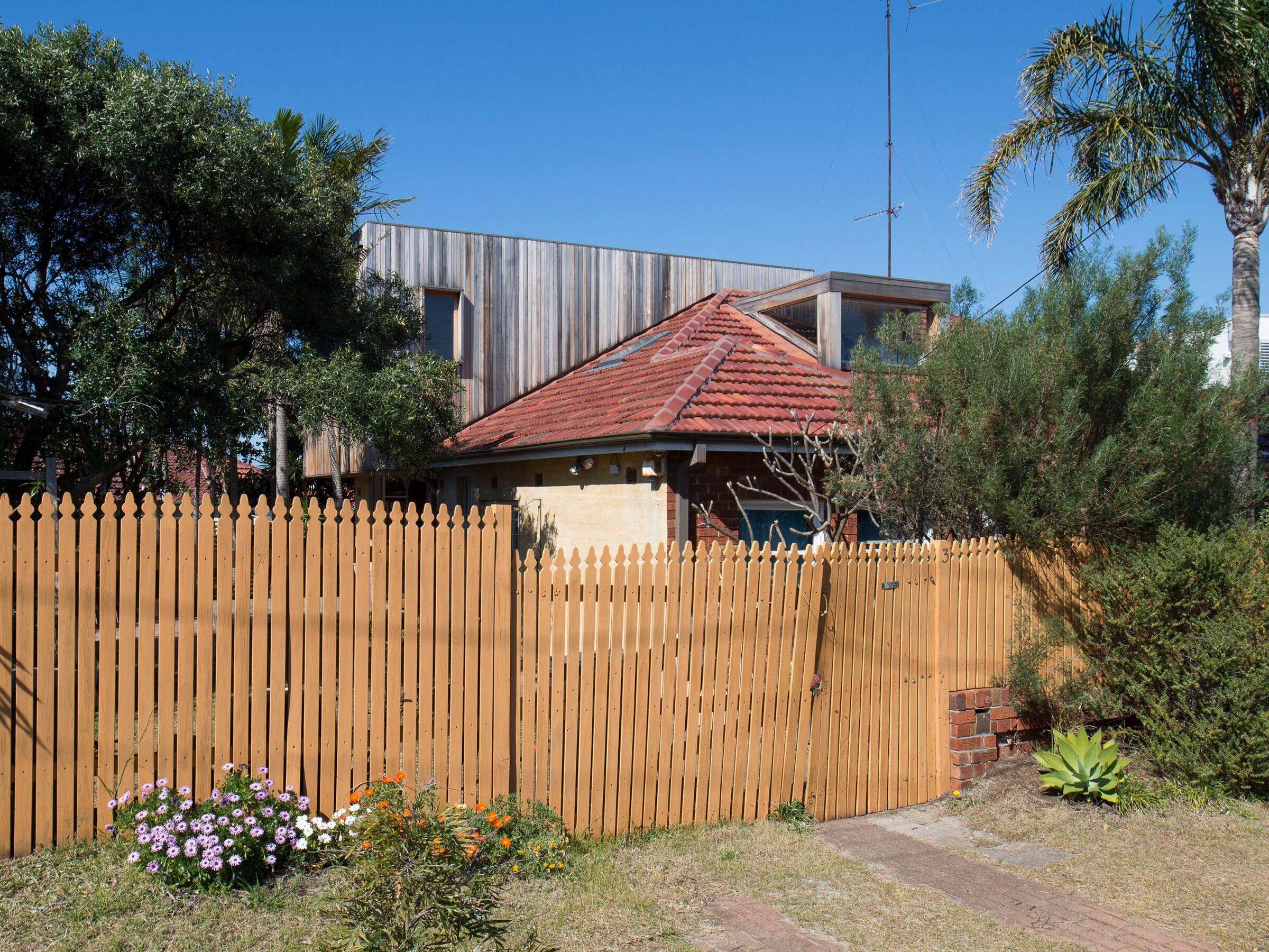 Palm Tree House | Chris Elliott Architects | Archello