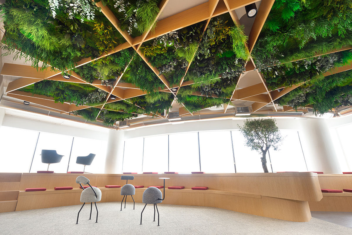 Green Ceilings por Greenarea | Archello