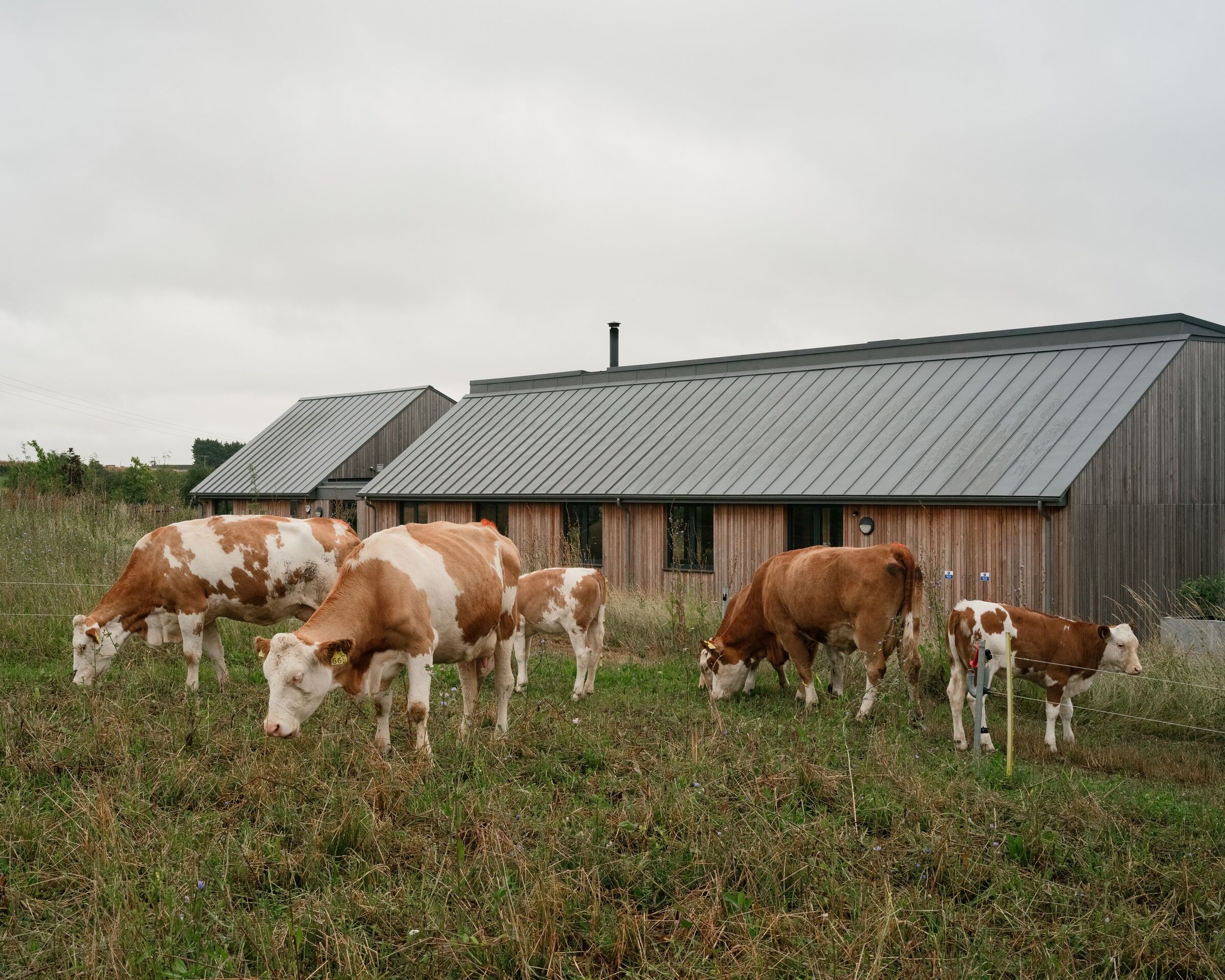Gallery of FarmED | Timothy Tasker Architects | Media - 26