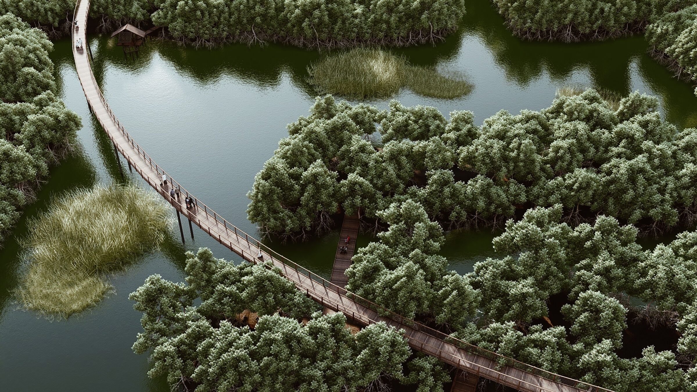 Gallery of PHU HAI MANGROVE ECOLOGICAL PARK | Infinitive Architecture ...