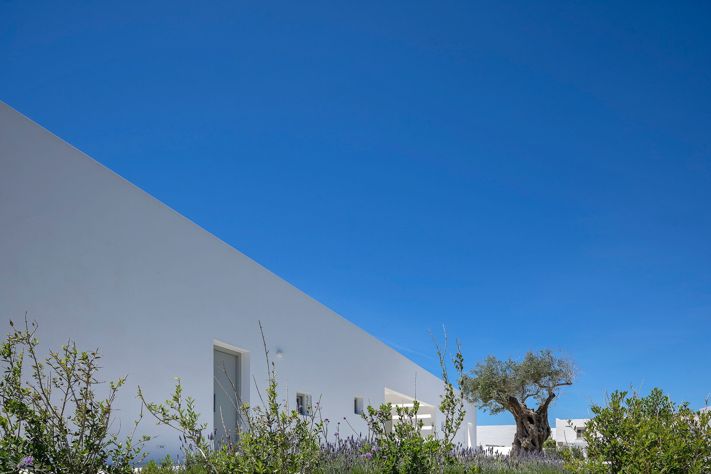 Gallery of Kite House in Greece | React Architects | Media - 9