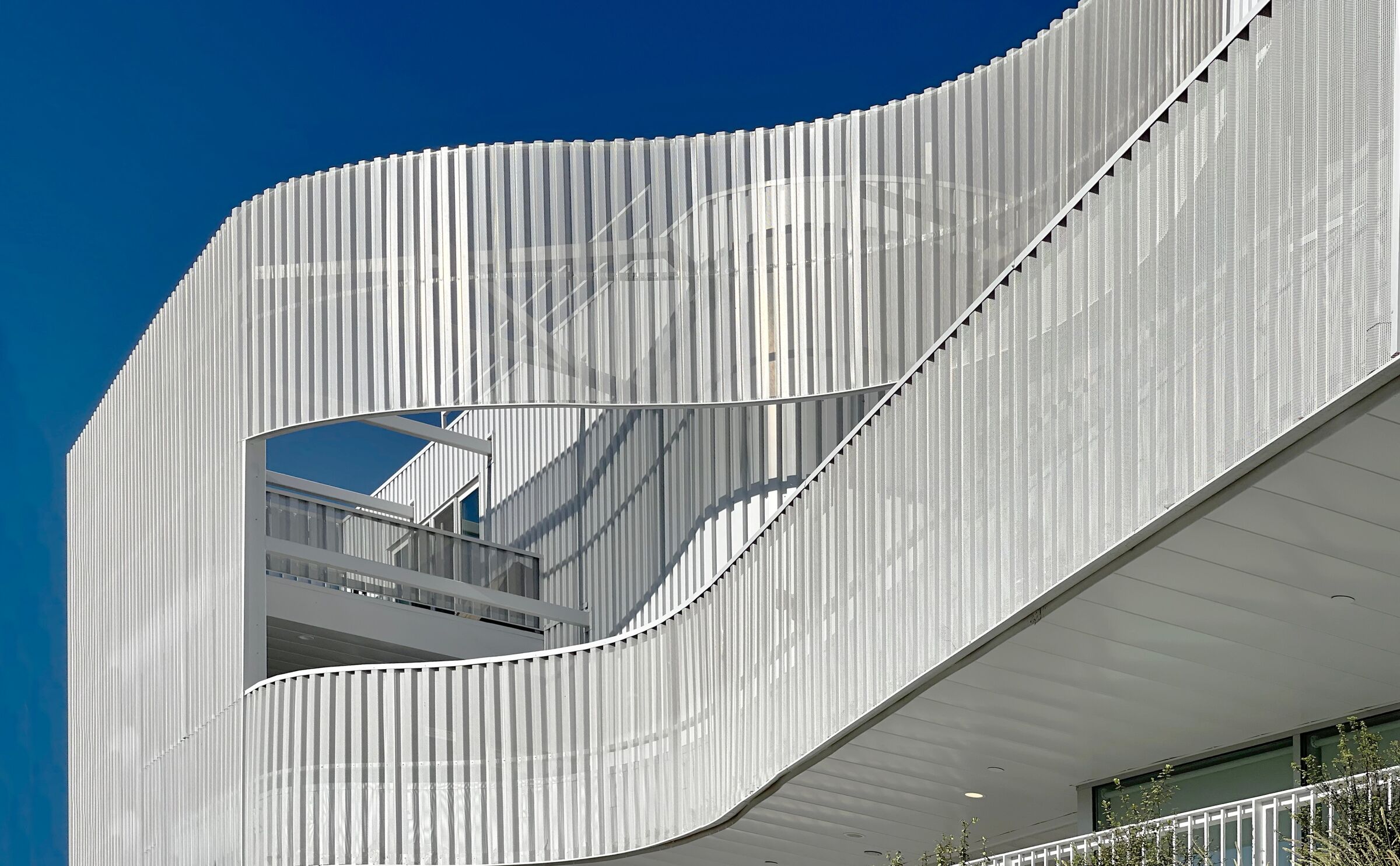 Gallery of Magnolia Hill | Brooks + Scarpa | Media - 19