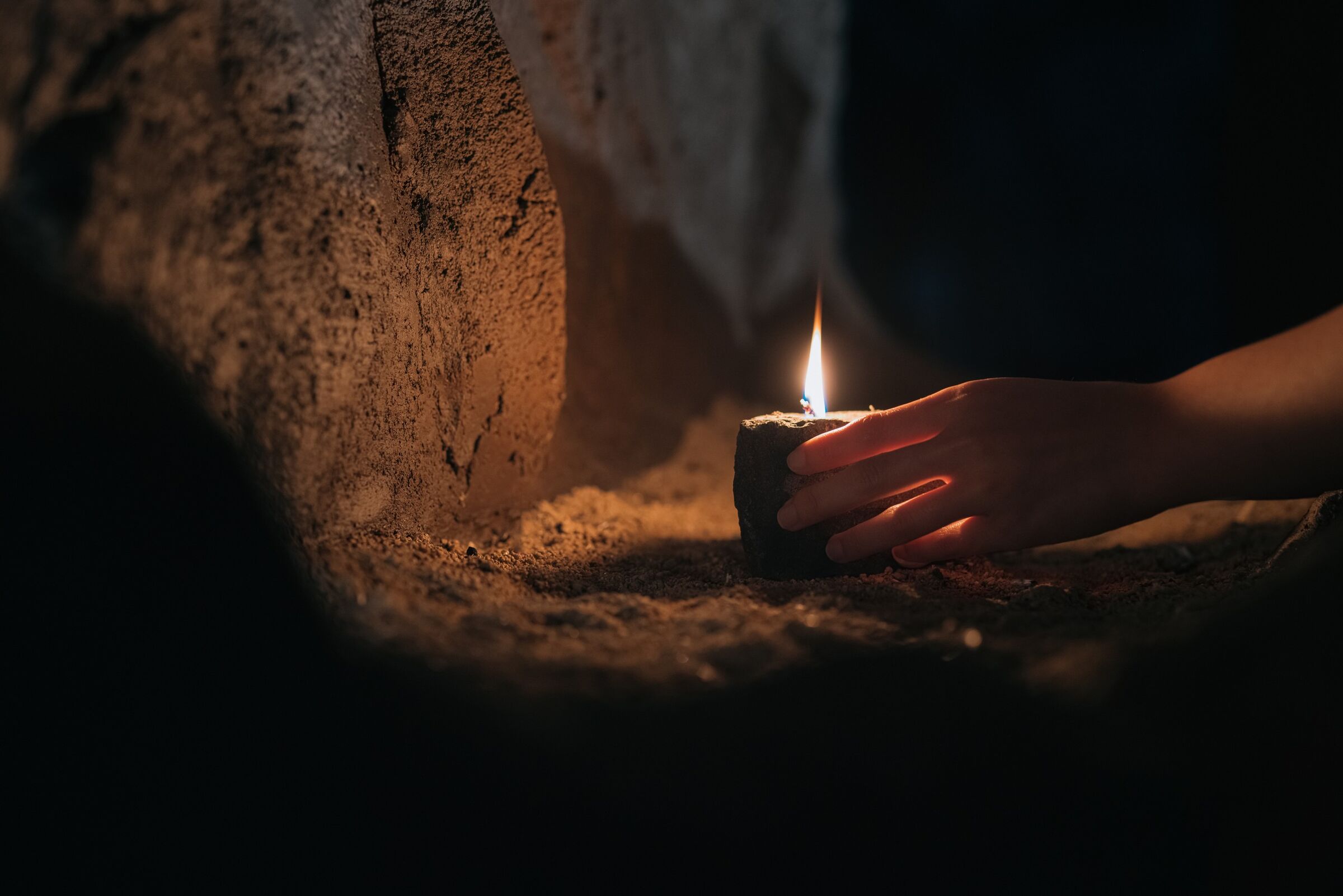 Gallery of Sumsei Terarium | NONE SPACE | Media - 18