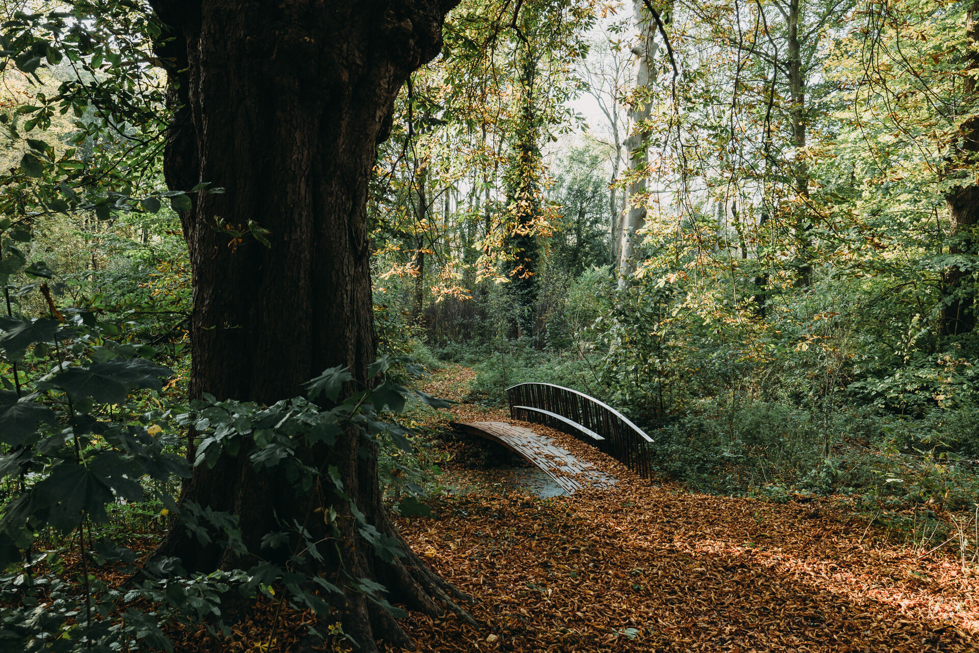 Windesheim Bridges | NEXT architects | Archello