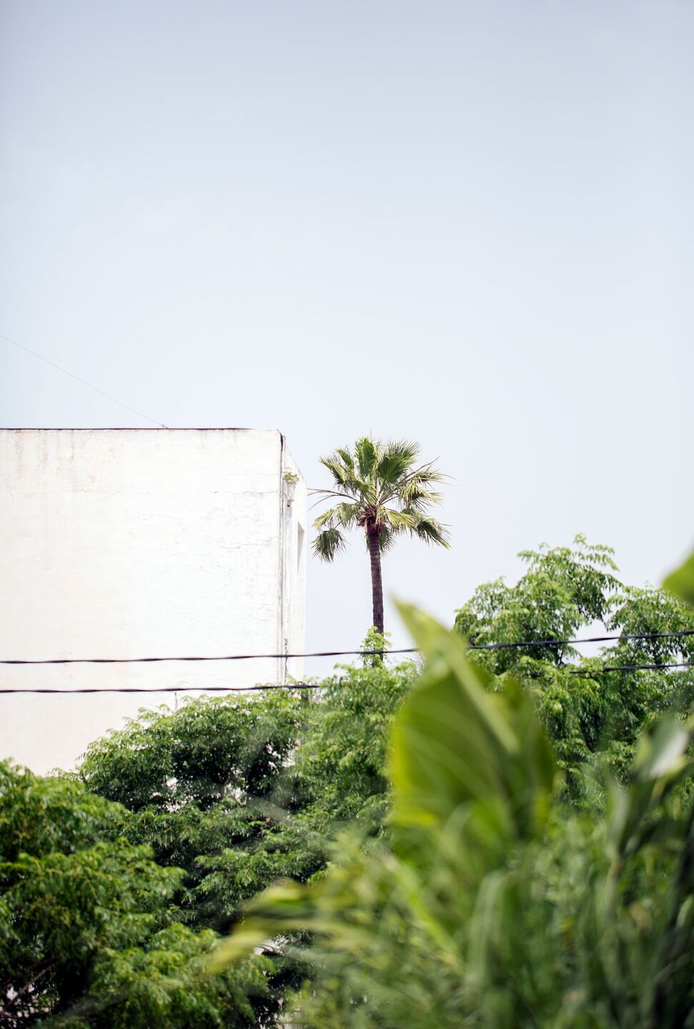 Gallery of Anissa Aida’s Showroom | JELJELI studio | Media - 1