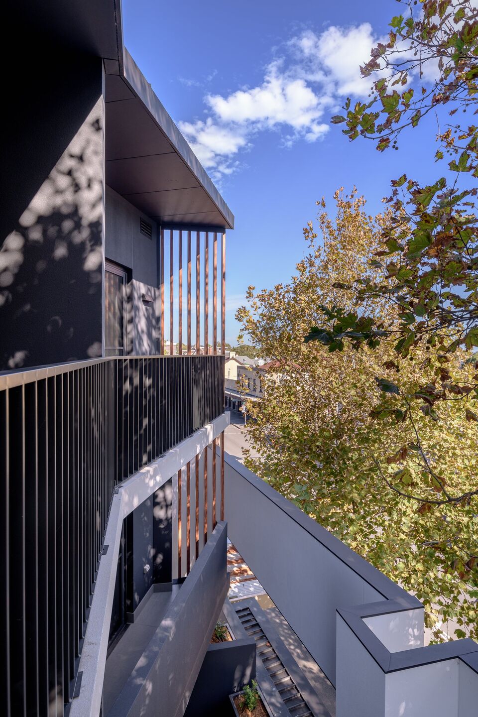 Gallery of Anglicare Botany | GroupGSA | Media - 3