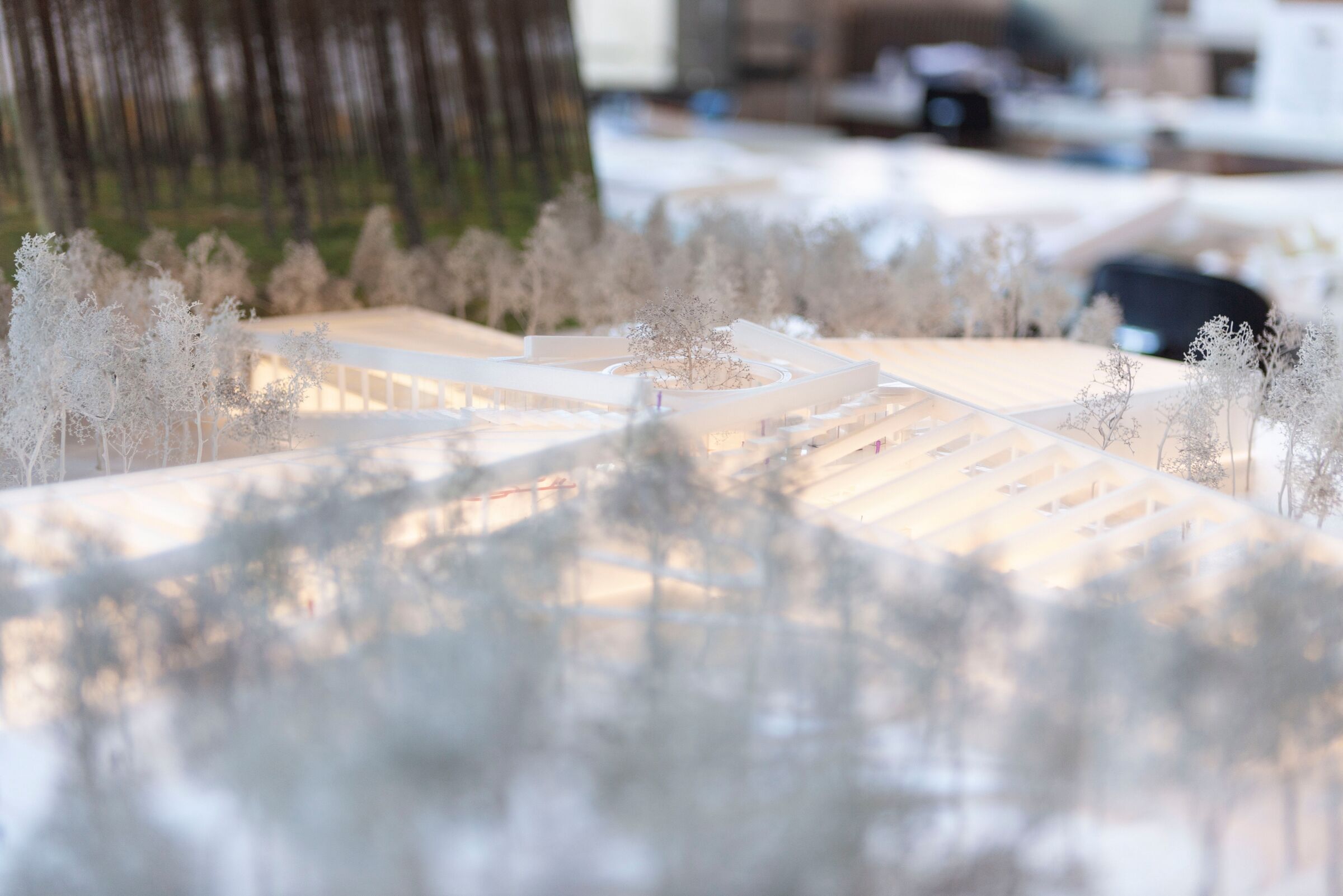 Gallery of The Plus | BIG - Bjarke Ingels Group | Media - 20