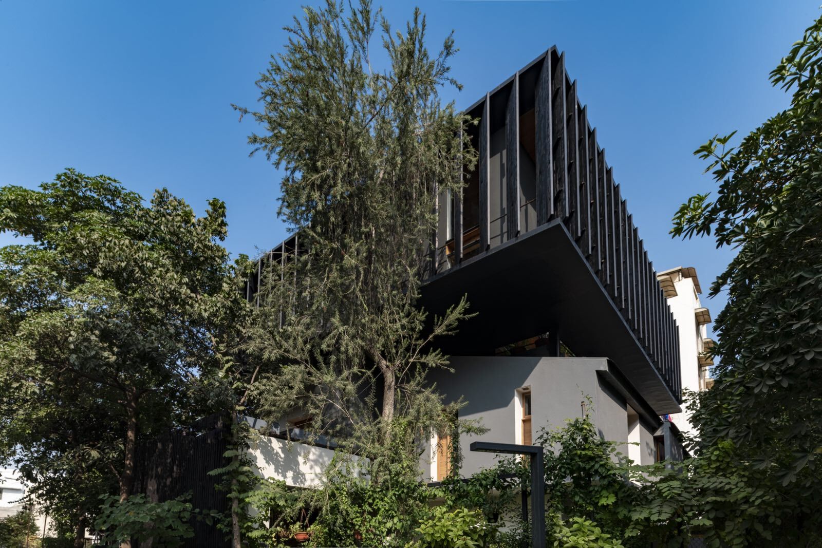 Black Perch | Studio Sangath | Archello