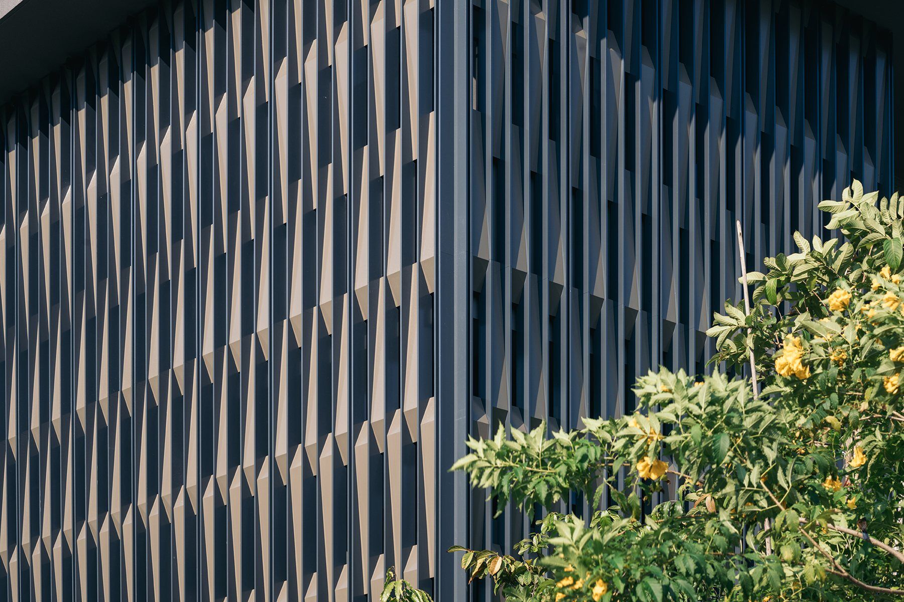 Gallery of 3 Ash House | Czarl Architects | Media - 3