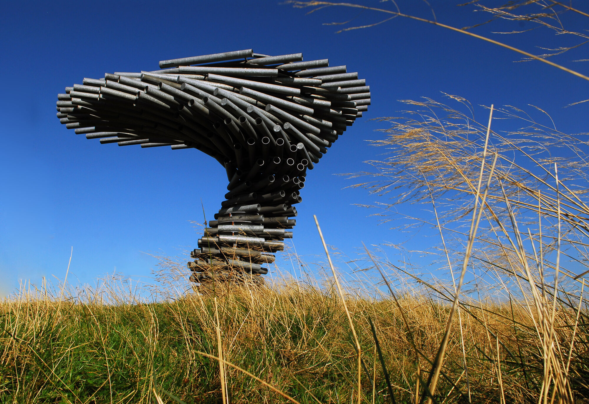 Singing Ringing Tree | Tonkin Liu | Archello