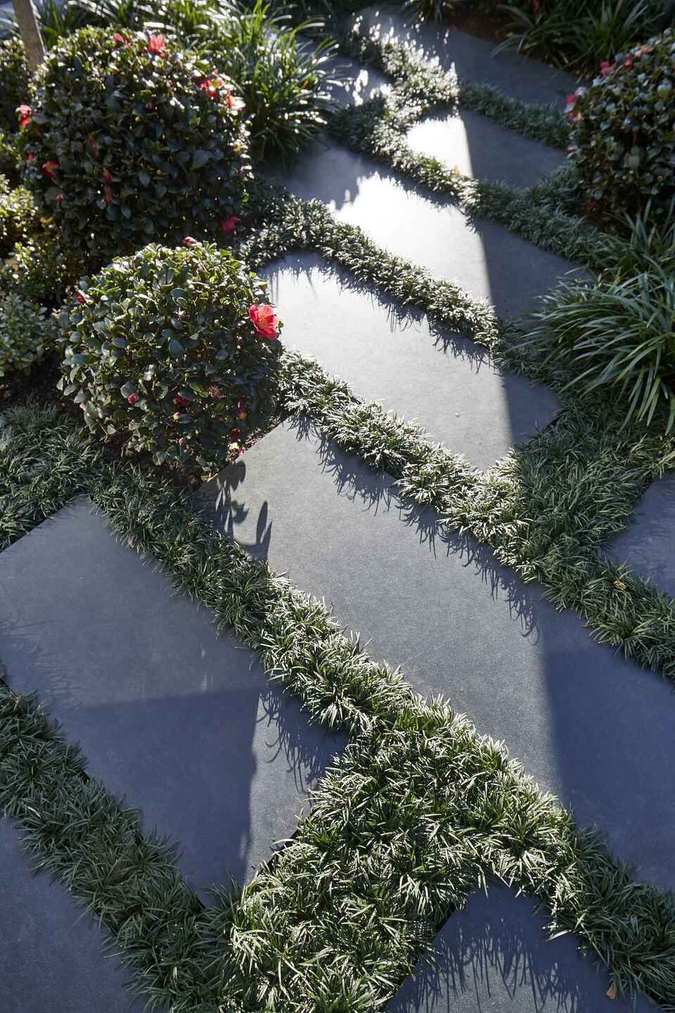 Gallery of Toorak Residence | ADDARC | Media - 8