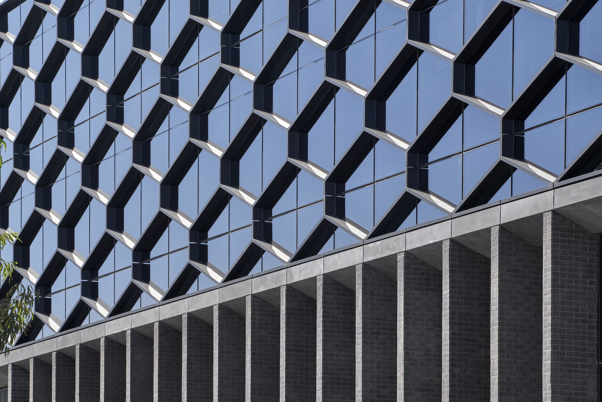 Gallery of VACC | Gray Puksand | Media - 13