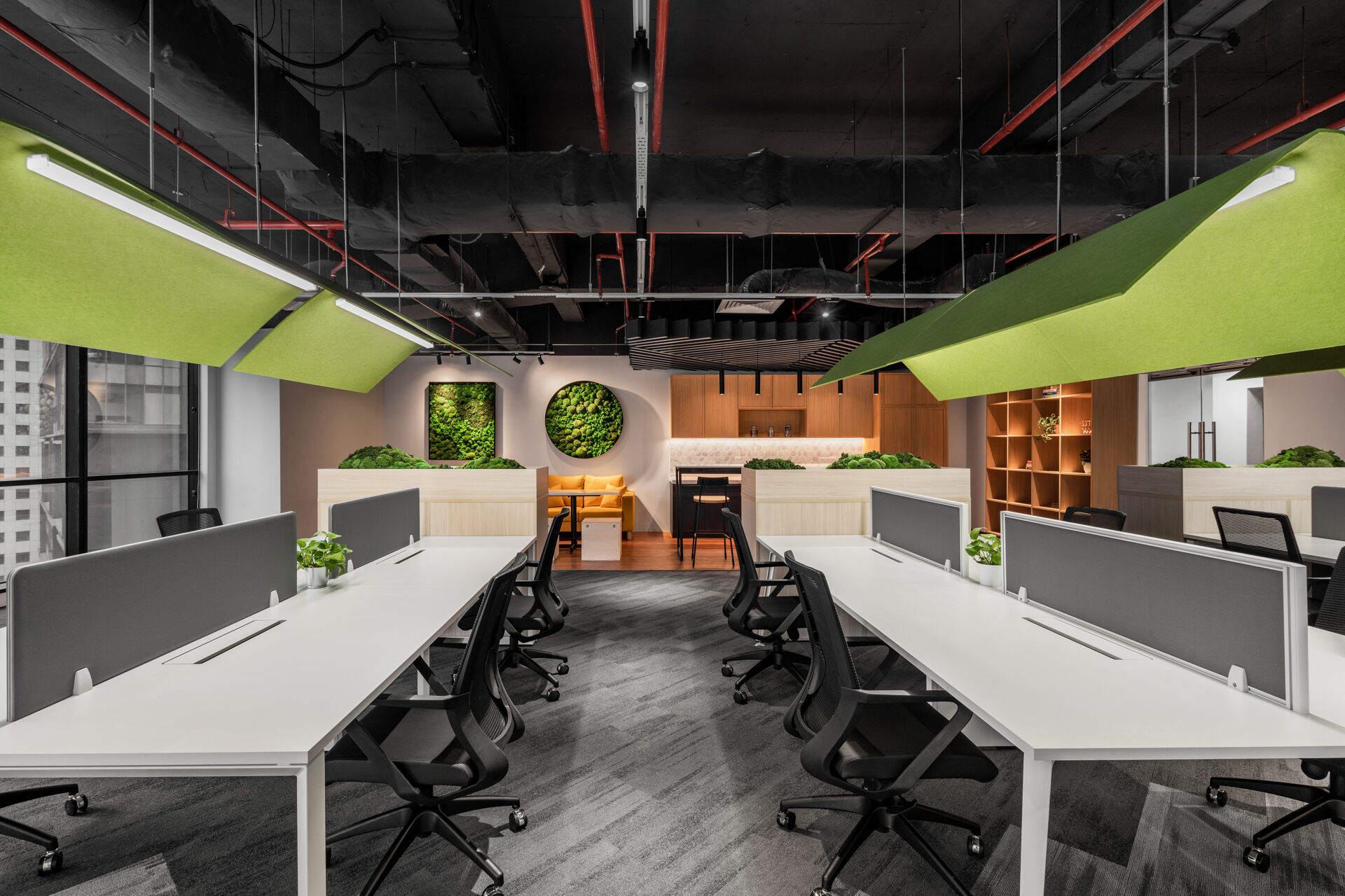 Experimental Oasis | EzyOffice | Archello