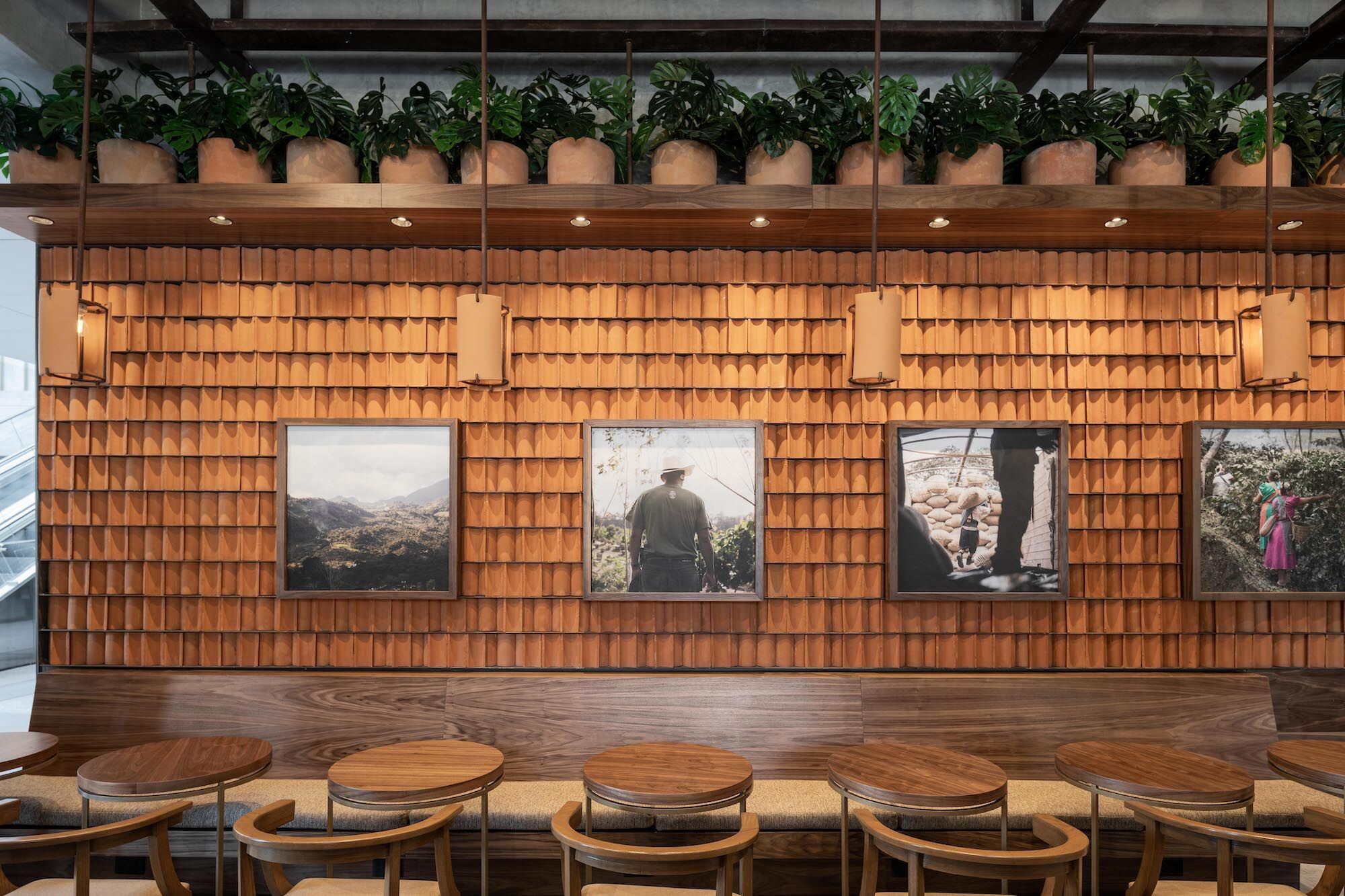 Gallery of Kali Coffee | Concéntrico | Media - 12