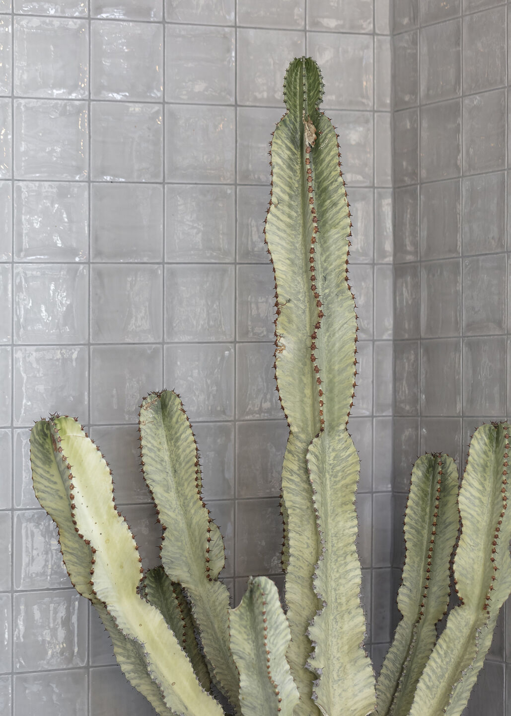 Gallery of SAWERDŌ | BUREAU (D. Zamarbide, C. Pimenta, G. Zamarbide) | Media - 4