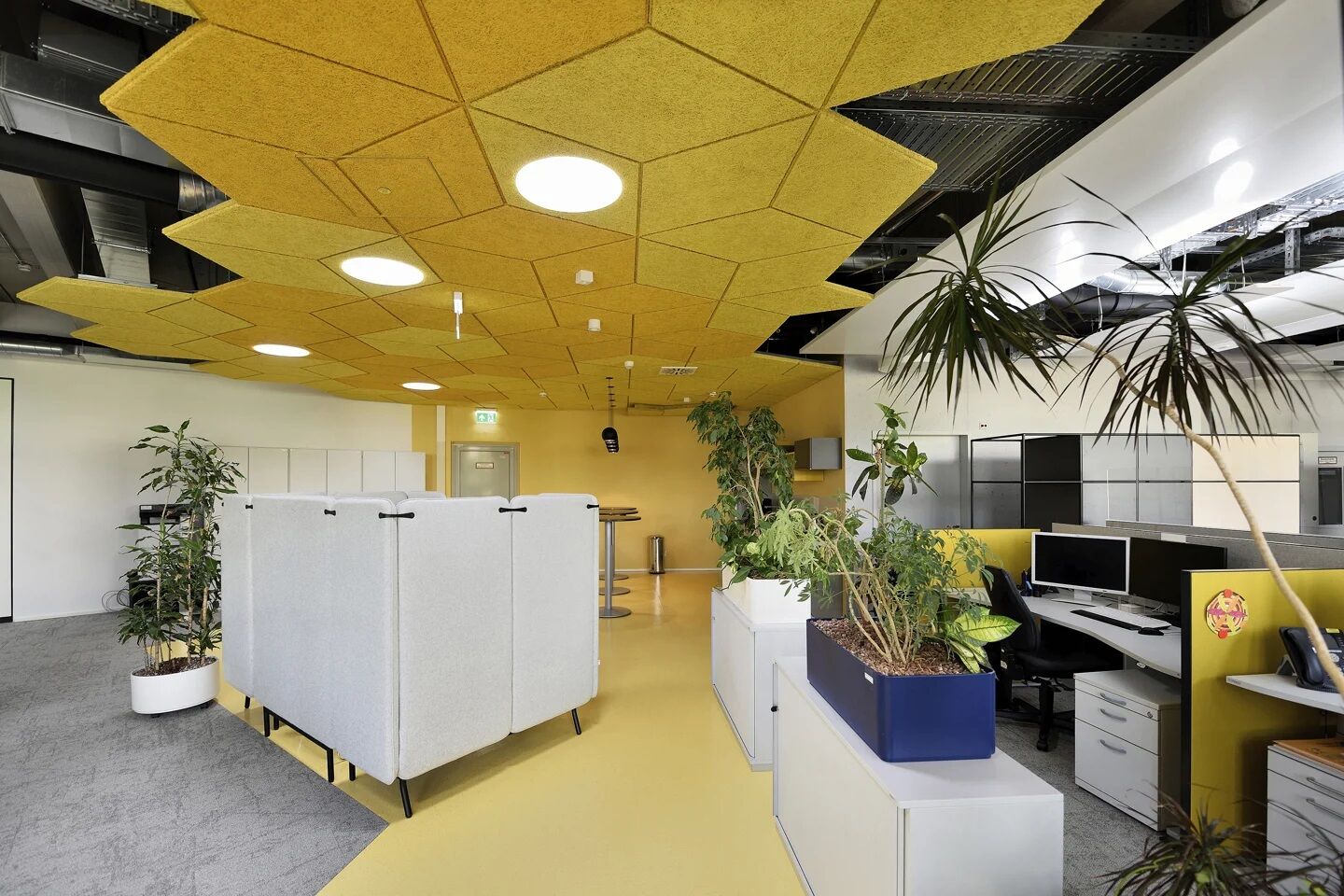 Troldtekt Rhomb (mini) by Isolco BV | Archello