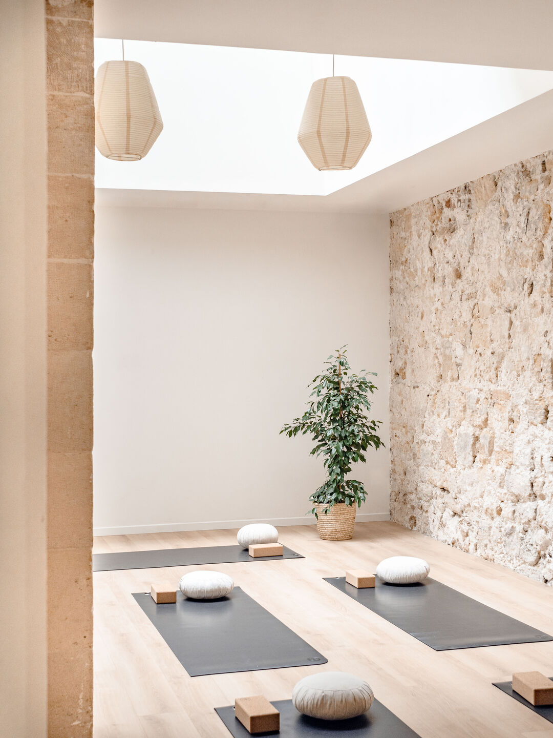 Gallery of Ground to Grow Café and Yoga Studio | Ama Studio | Media - 28