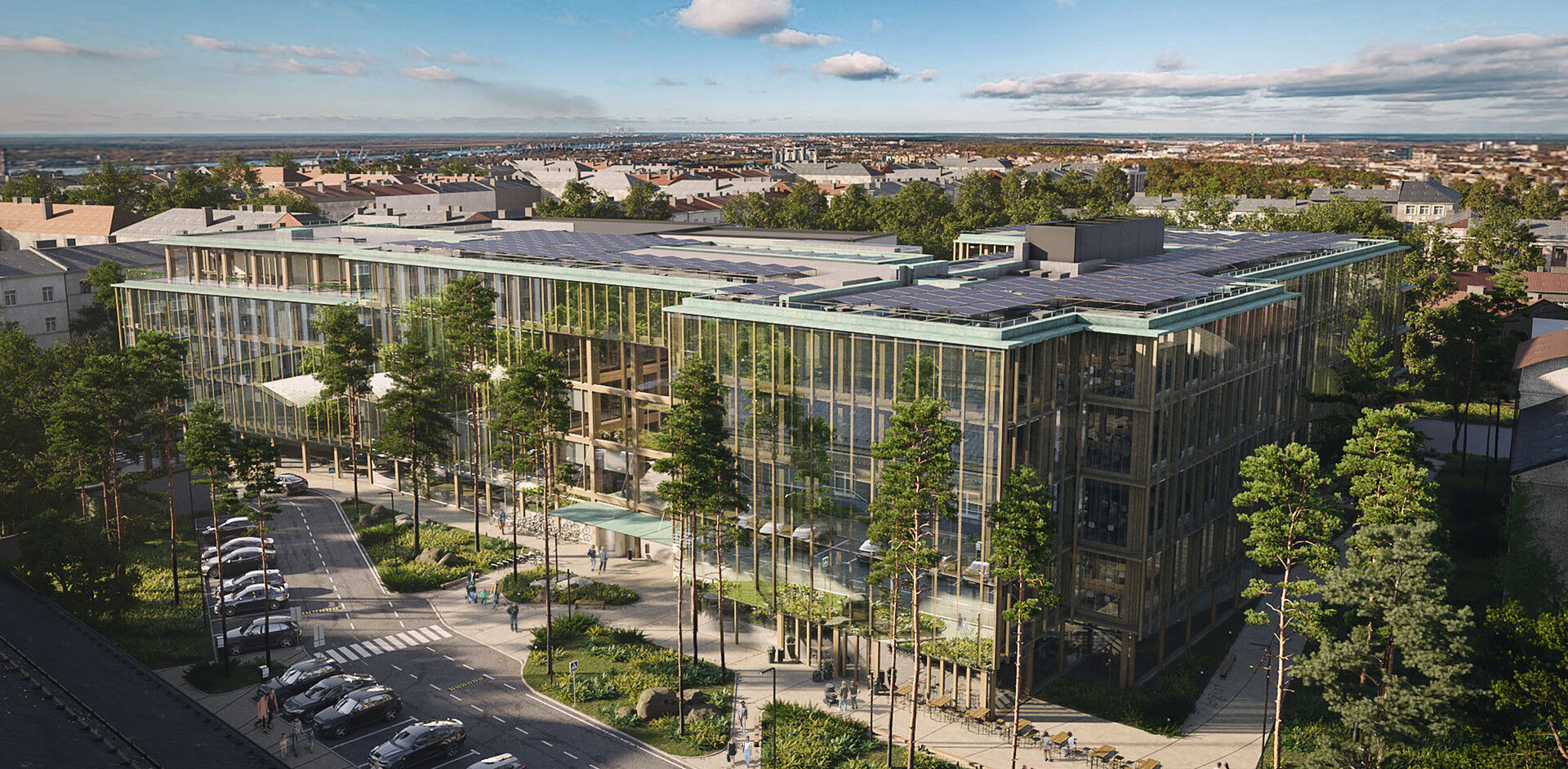 The Pine | ARROW Architects | Archello