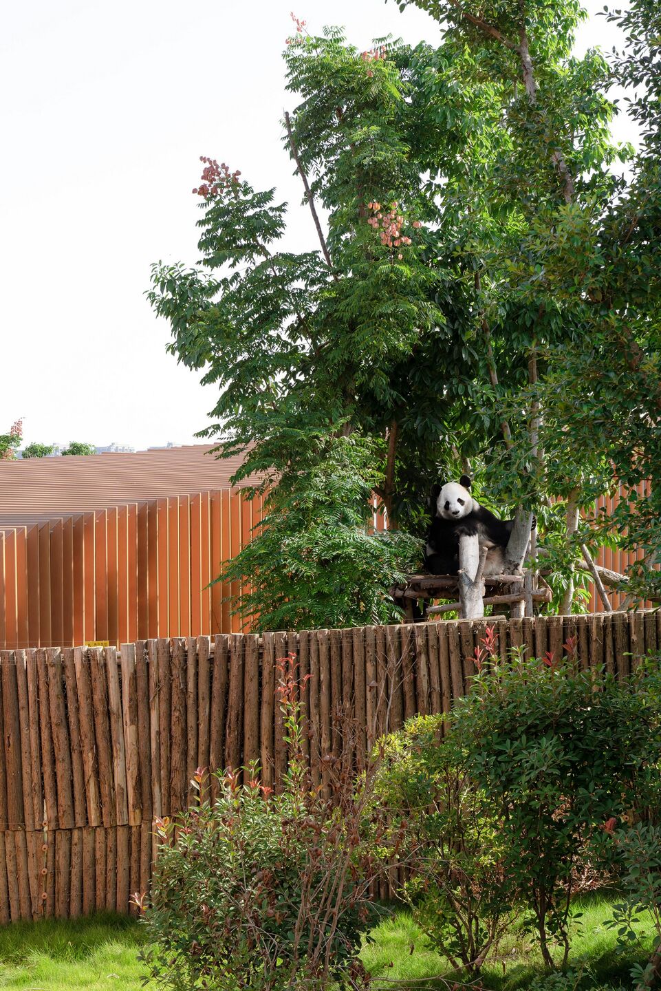 Gallery of The Panda Pavilions | Atelier Ping Jiang | EID Arch | Media - 33