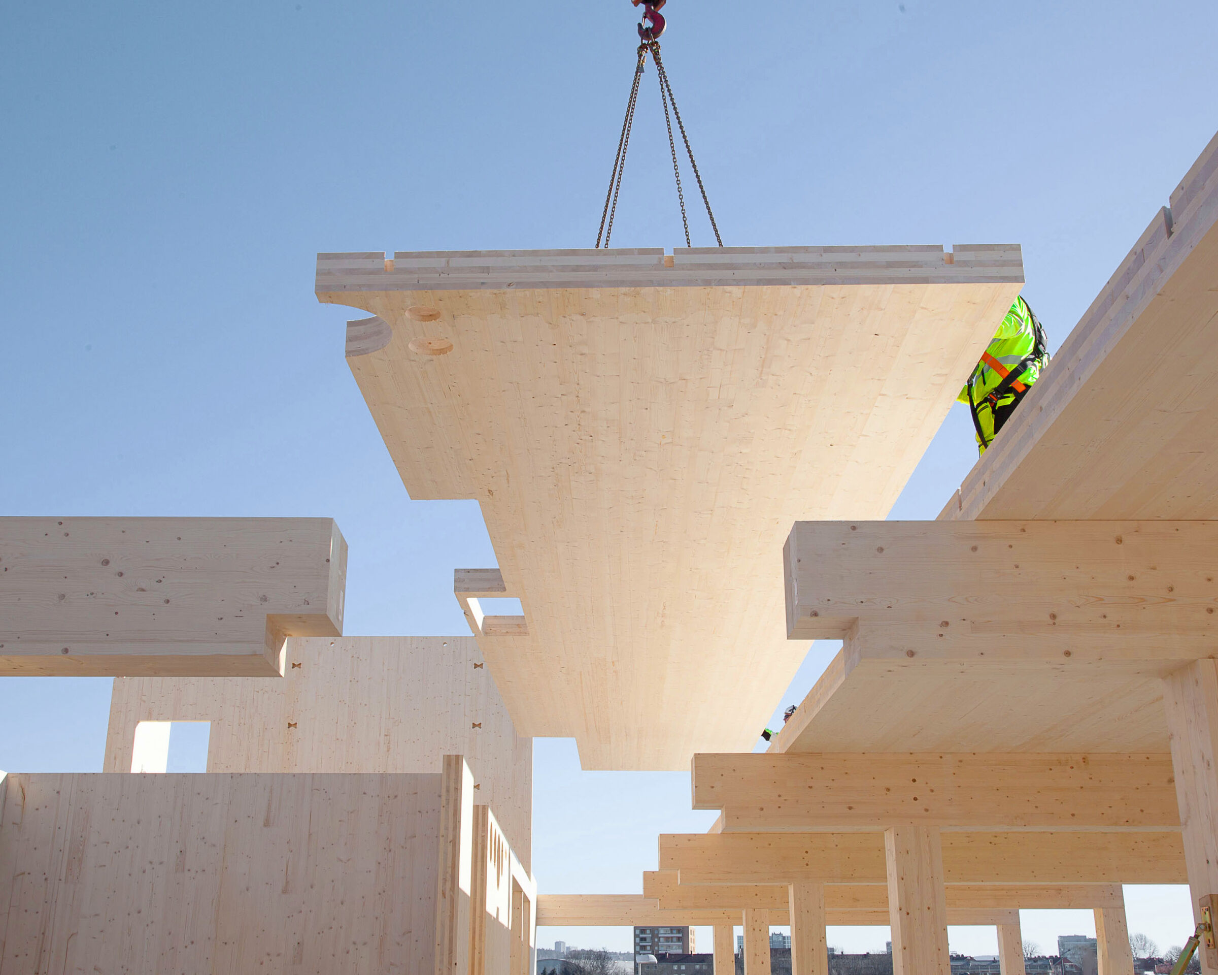 Gallery of Hasletre | Oslotre | Media - 11