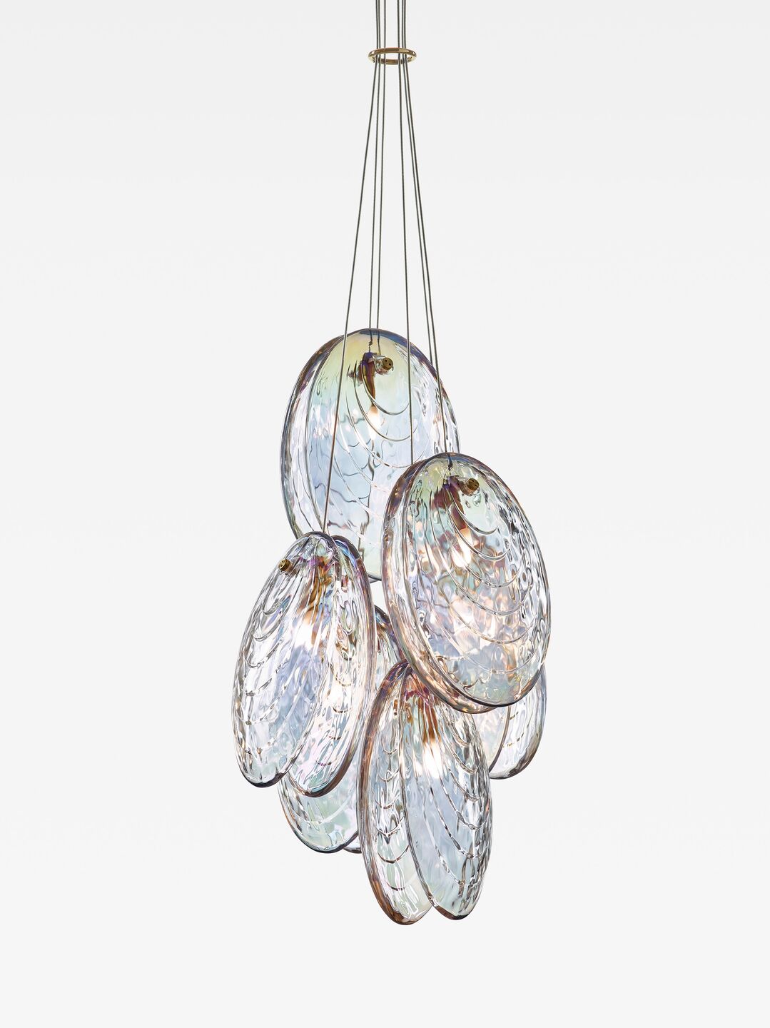 MUSSELS Collection by Bomma | Archello