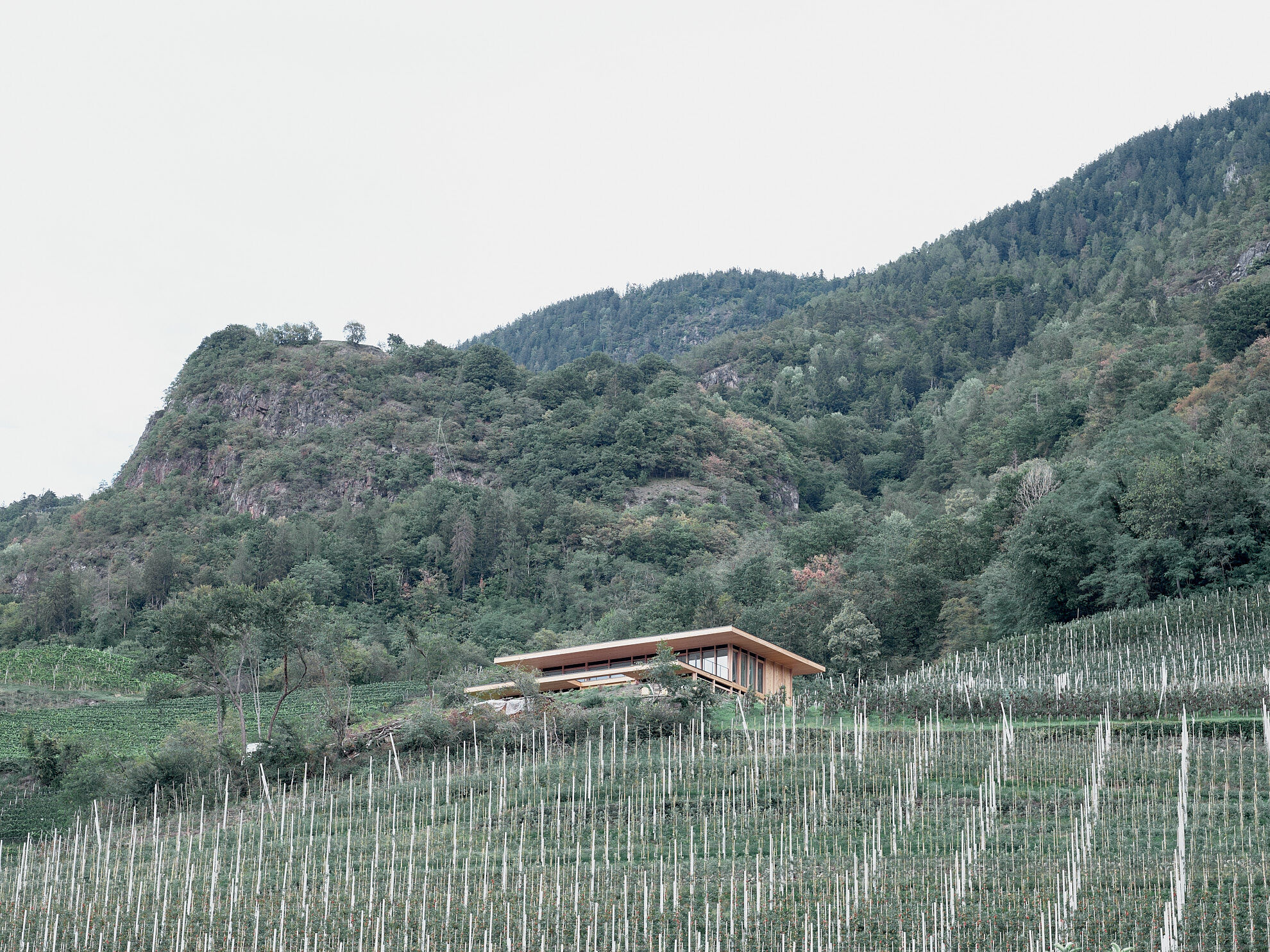 Gallery of CATSTONE | DEAR studio | Media - 6