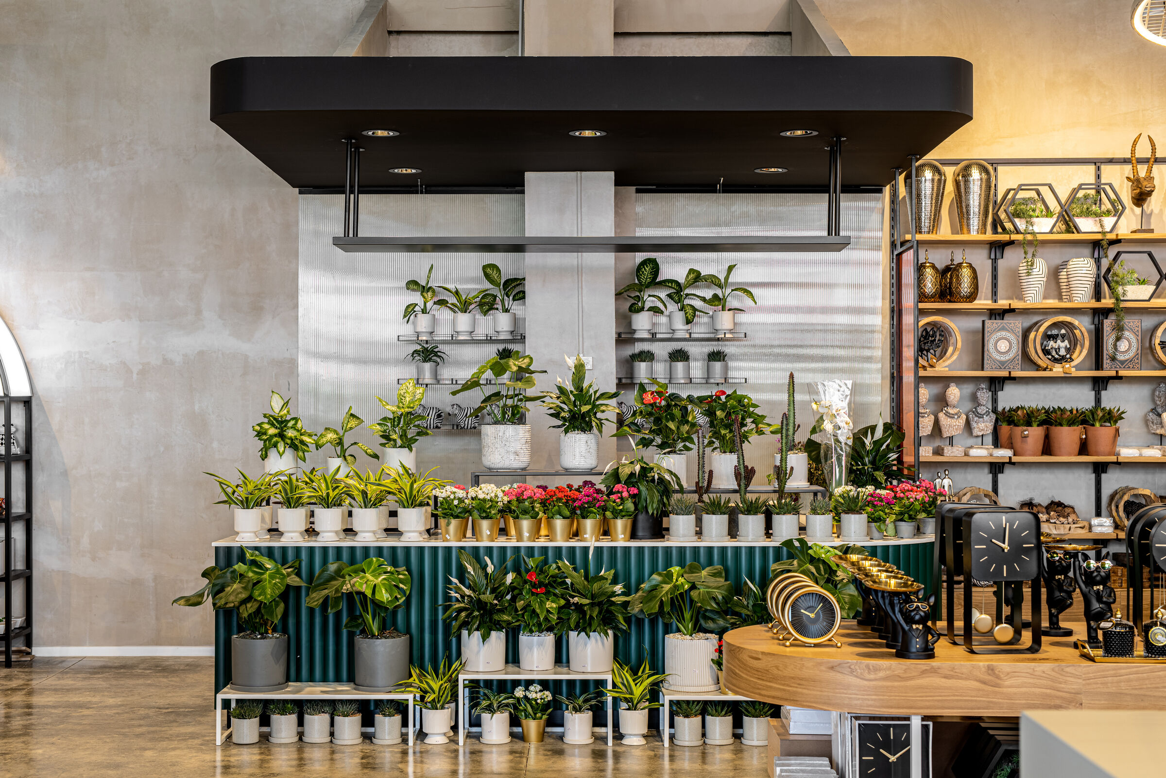 Gallery of Havaya Home | Studio INTU | Media - 3