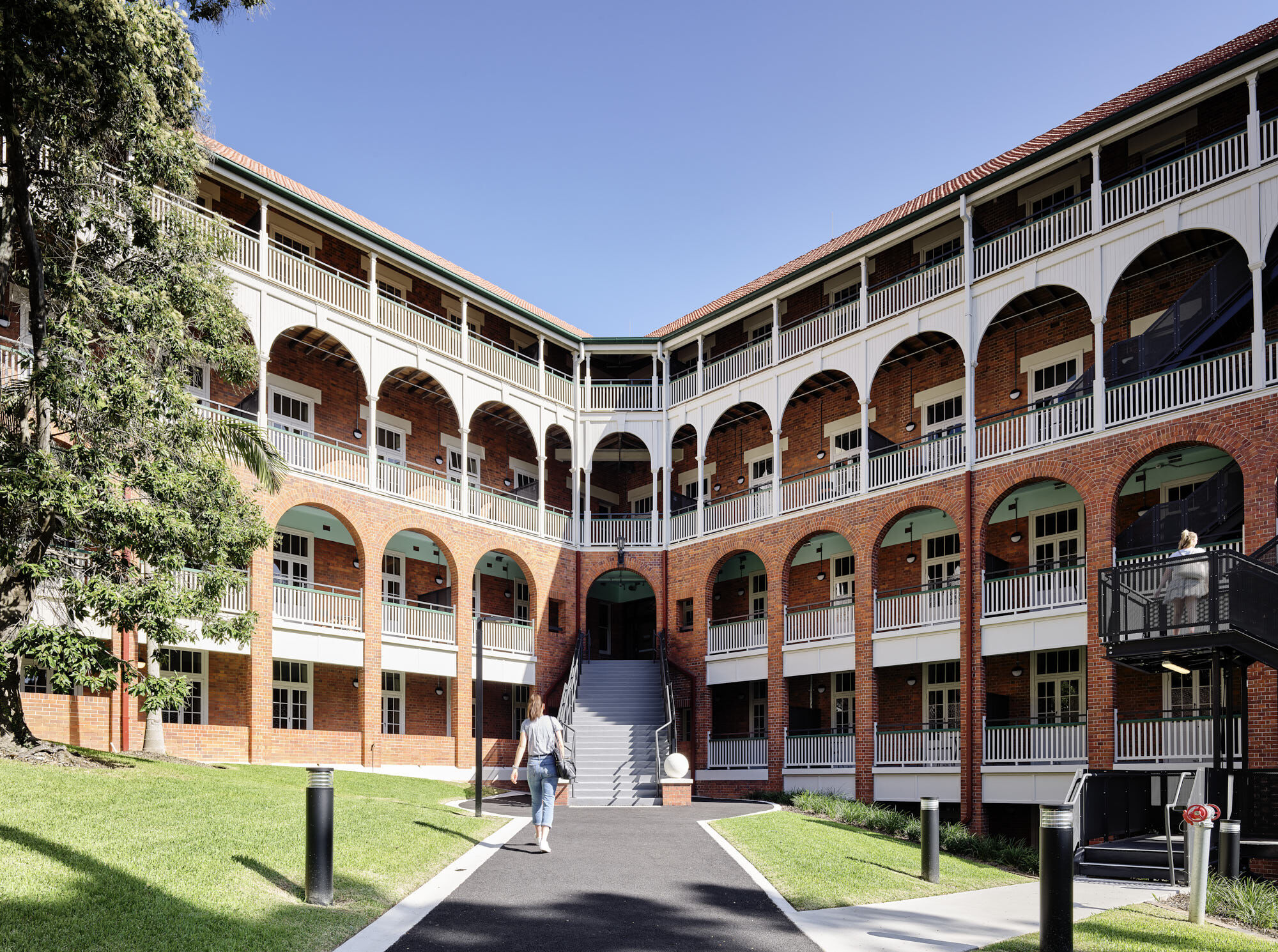 Lady Lamington | nettletontribe | Archello