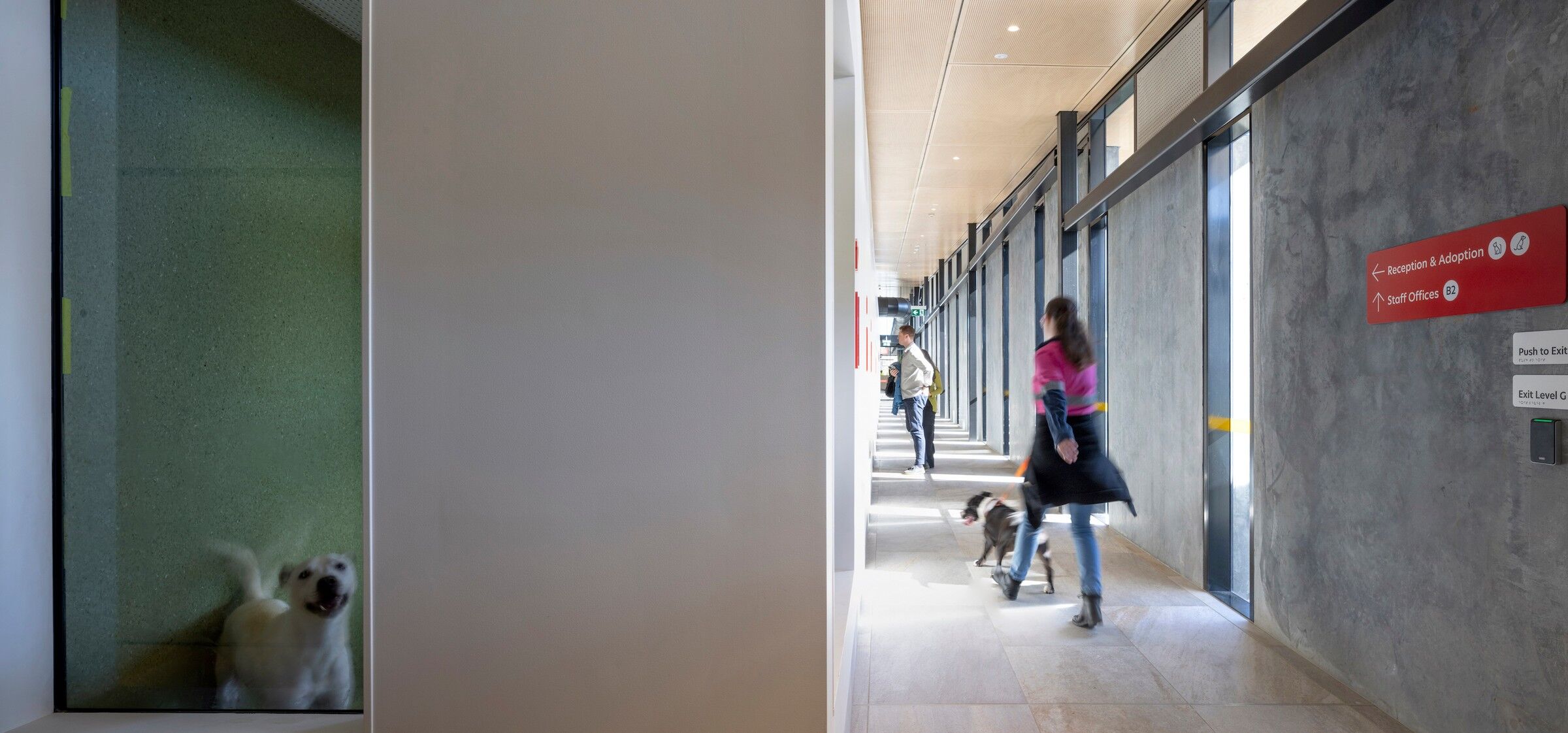 Gallery of Blacktown Animal Rehoming Centre (BARC) | Sam Crawford ...