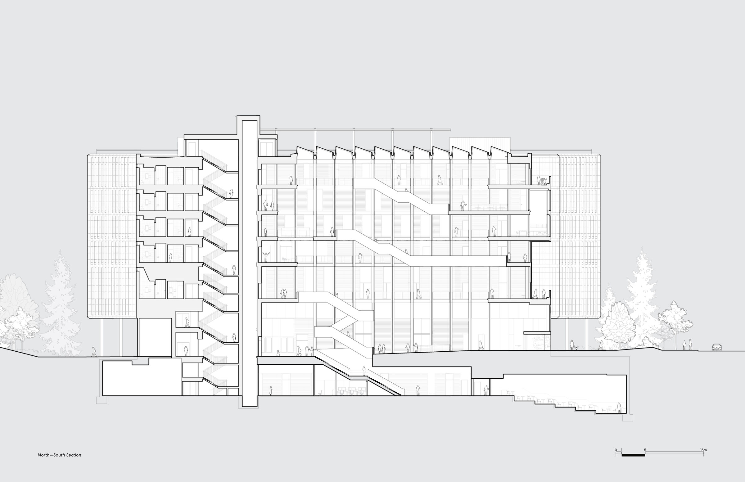 Gallery of Detail: The timber-hybrid and biophilic design of UBC ...