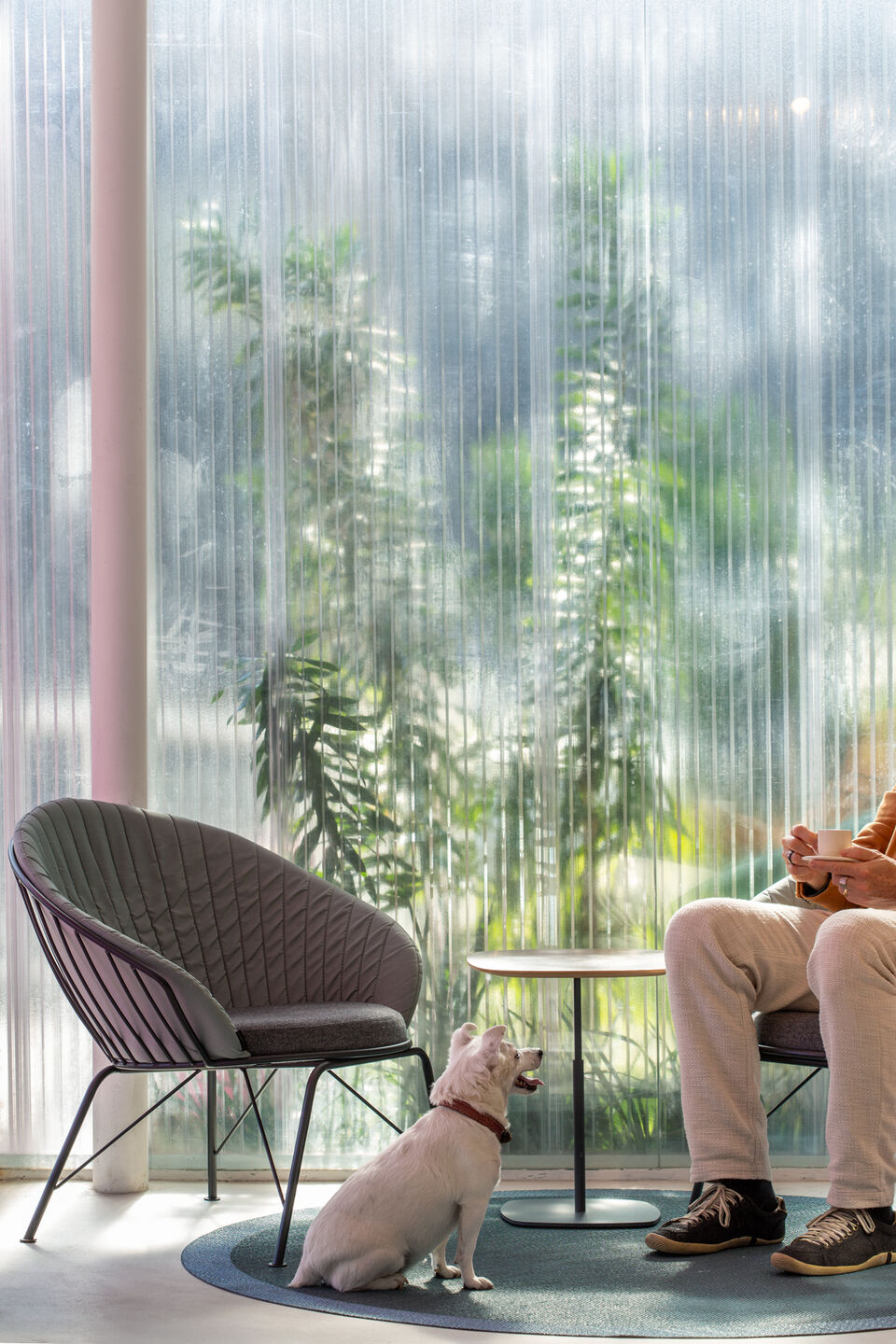 Gallery of Casa Alice II | Noak Architecture Studio | Media - 5