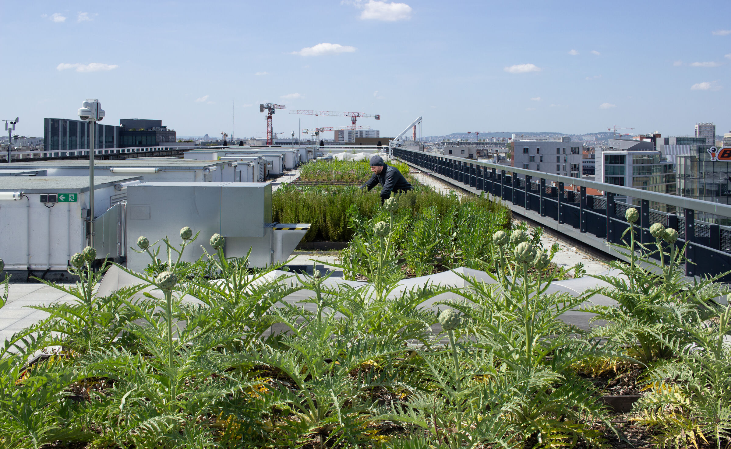 Gallery of STREAM BUILDING | PCA-STREAM | Media - 18