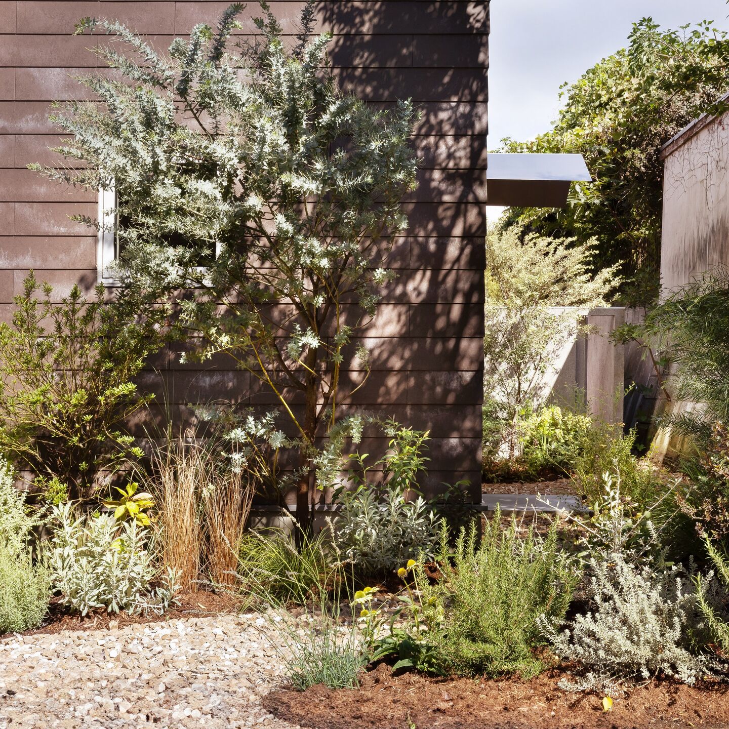 Gallery of A Cat Tree House | Tan Yamanouchi & AWGL | Media - 5