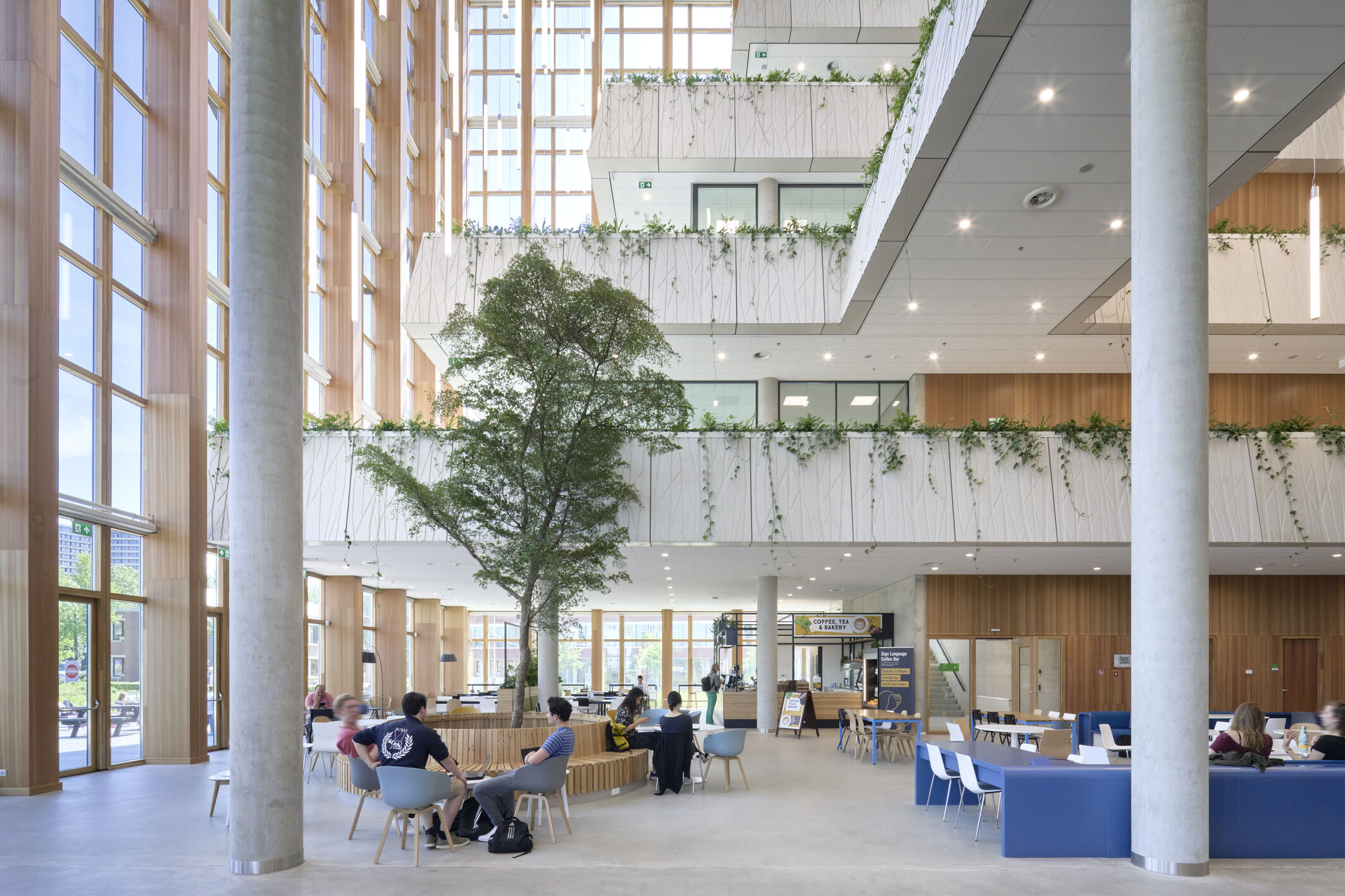 Educational building Aurora | LIAG architects | Archello