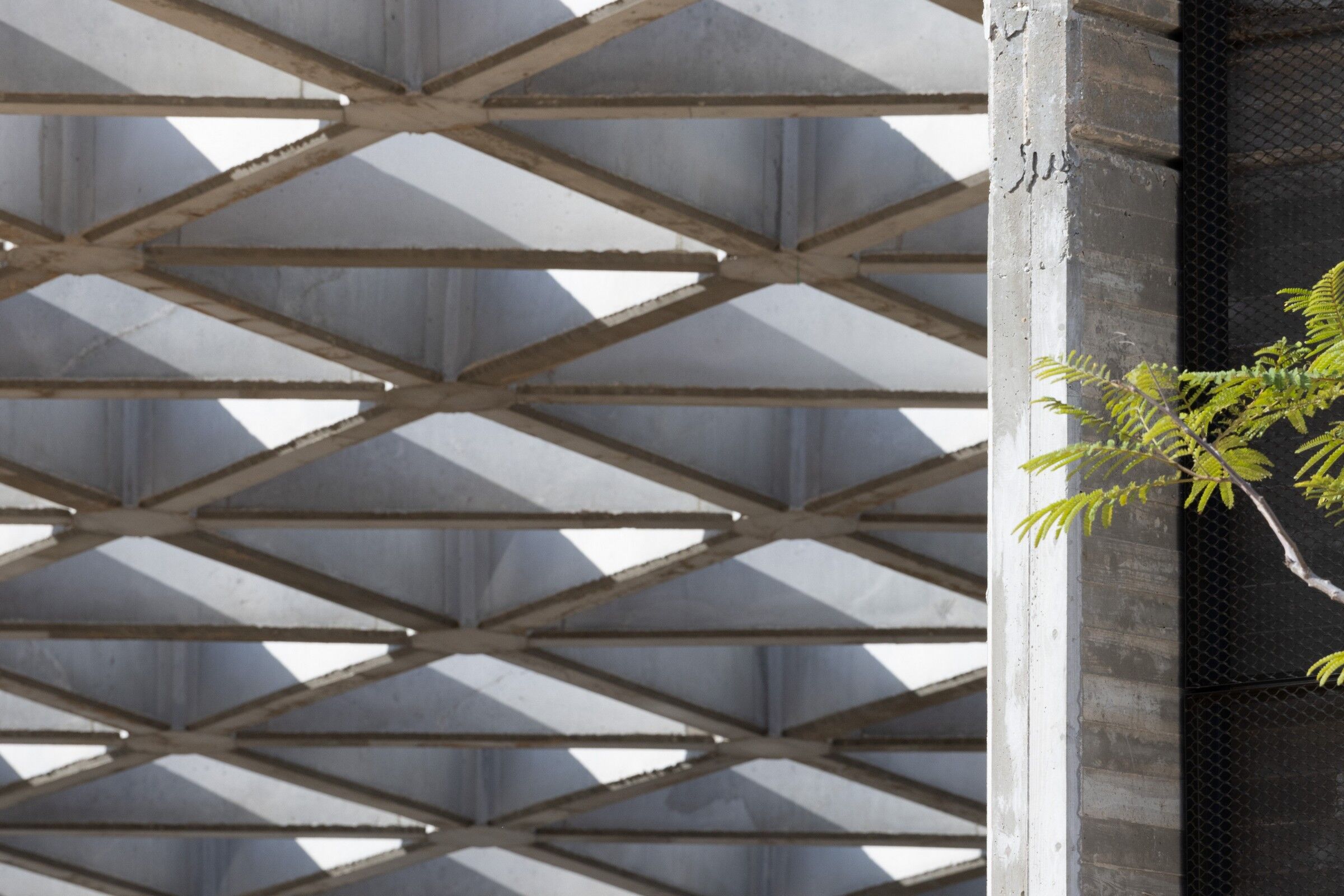 Gallery of Midbarium, The Jack | A. Lerman Architects | Media - 10