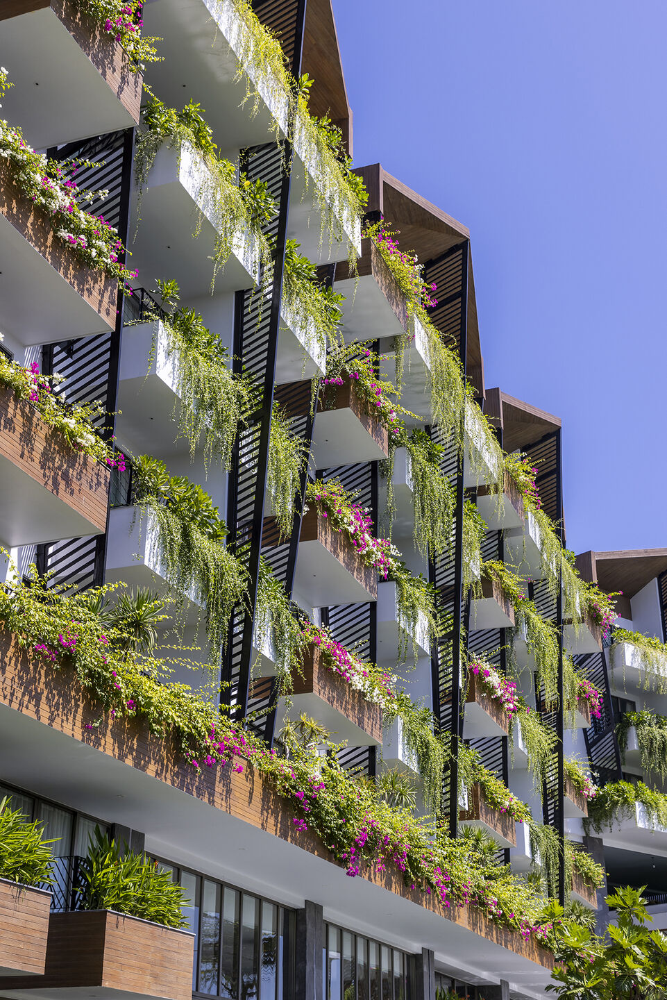 Gallery of Bellerive Resort | AVA Architects | Media - 7