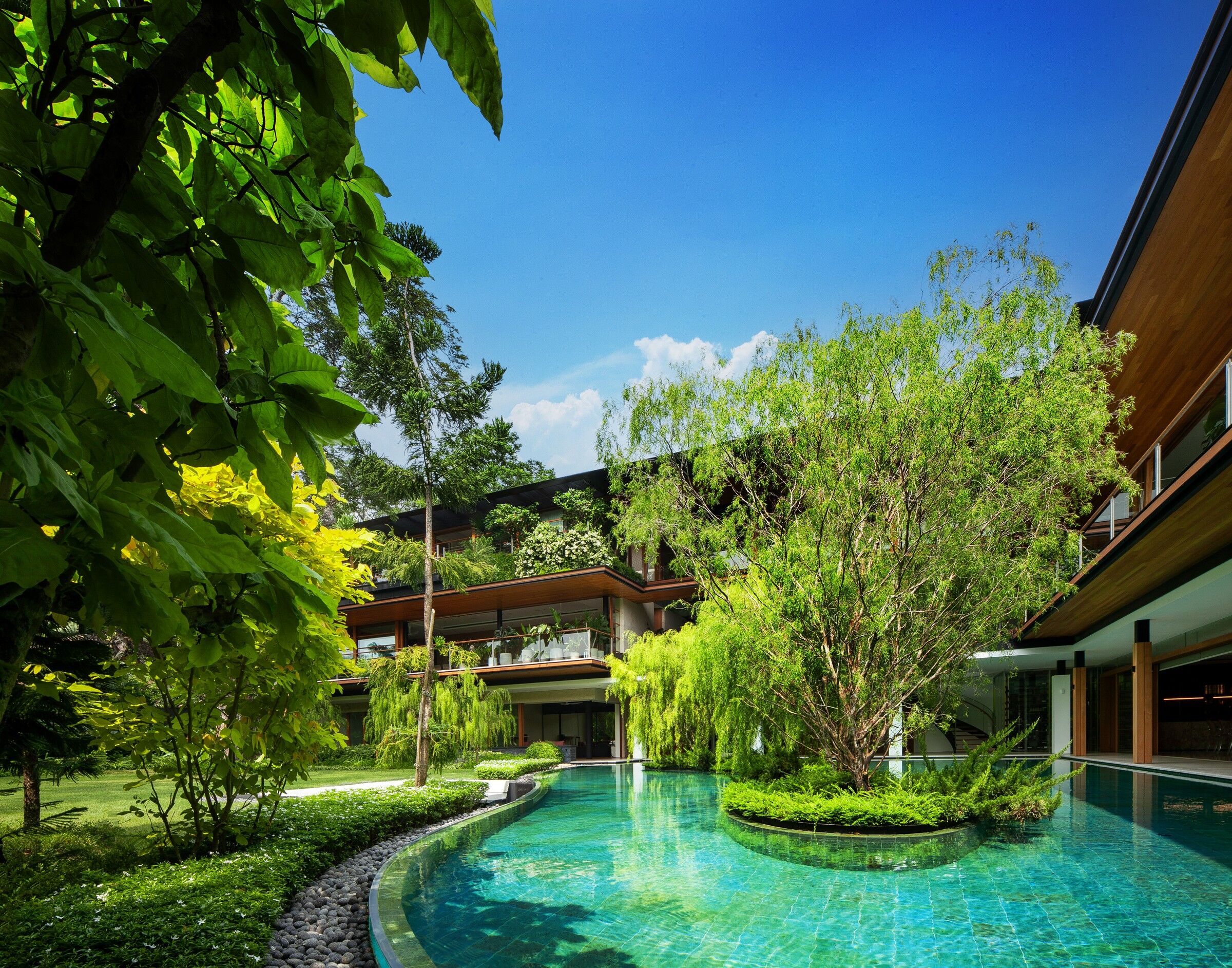 Gallery of Rain Tree House | Guz Architects | Media - 3