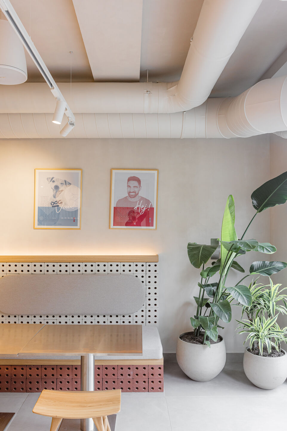 Gallery of Restaurant MIG | Studio Fluid | Media - 9