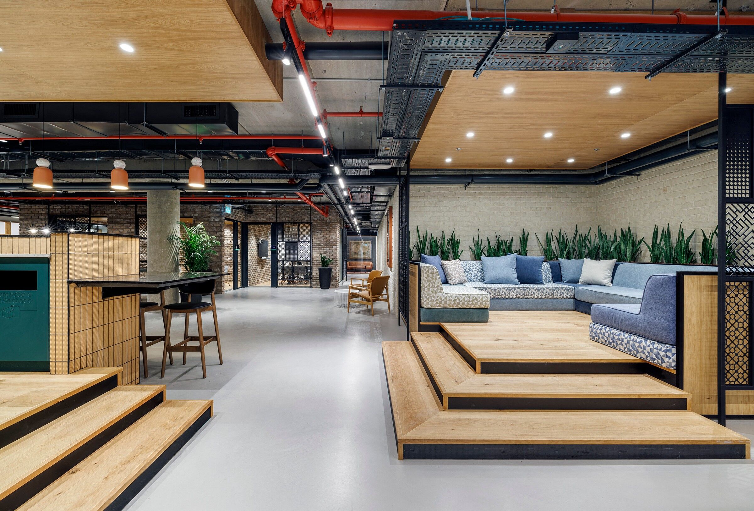 Meteoric Success, Local Spirit and Family Trees | Auerbach Halevy ...