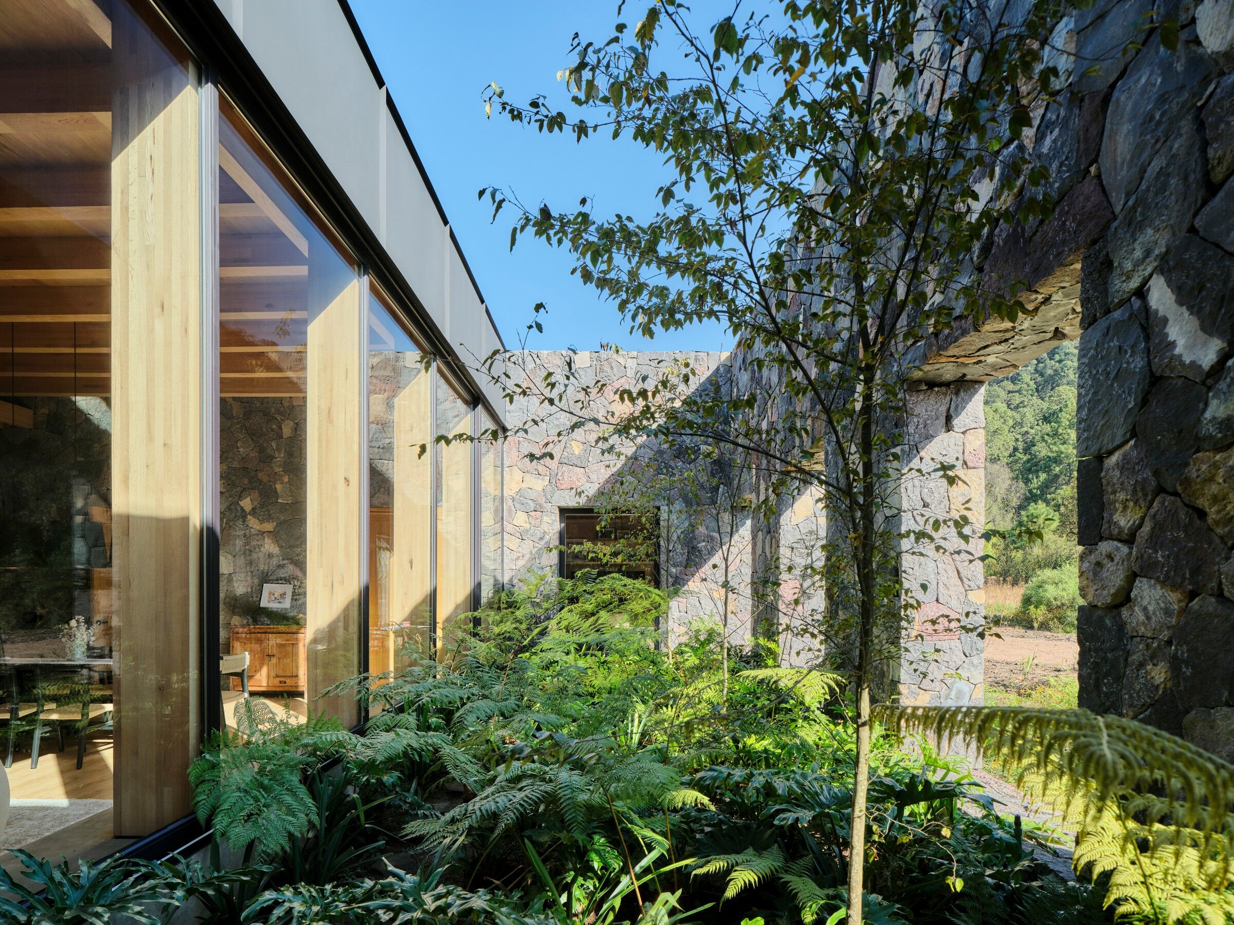 Gallery of FS House | Weber Arquitectos | Media - 8