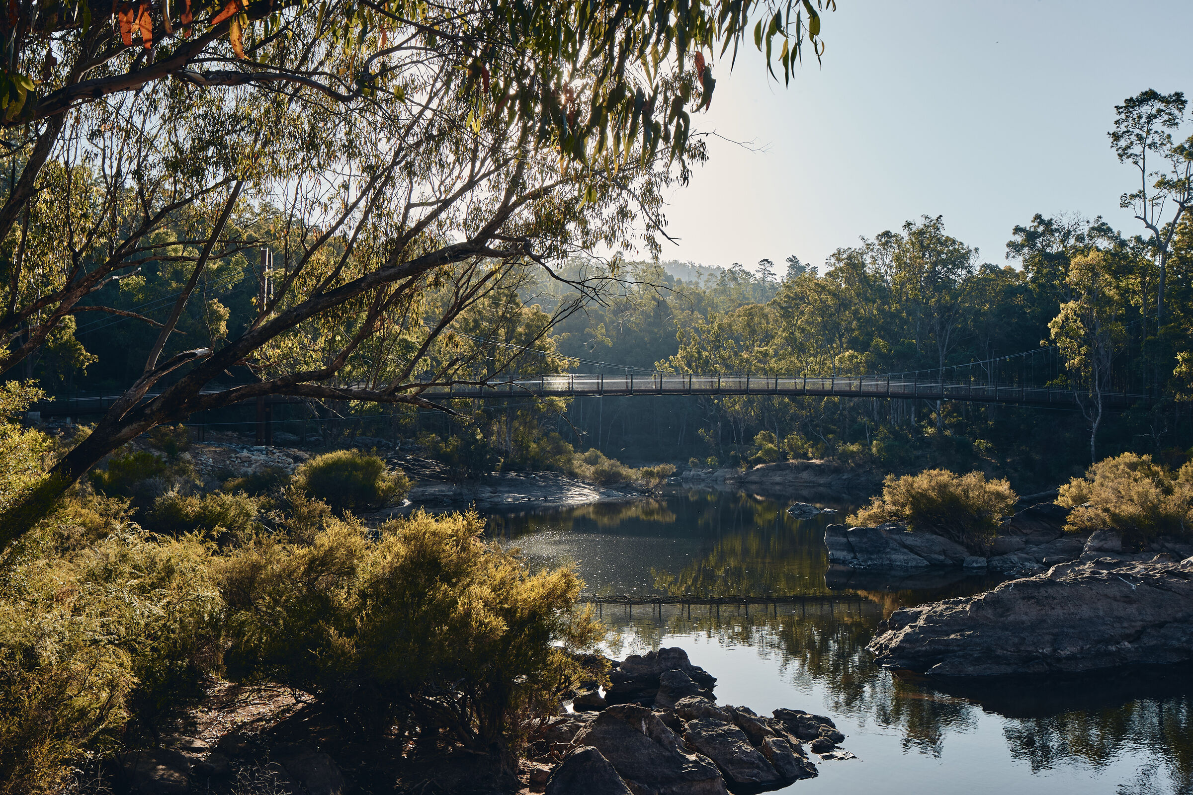 Dwaarlindjirraap Suspension Bridge | Iredale pedersen hook architects ...