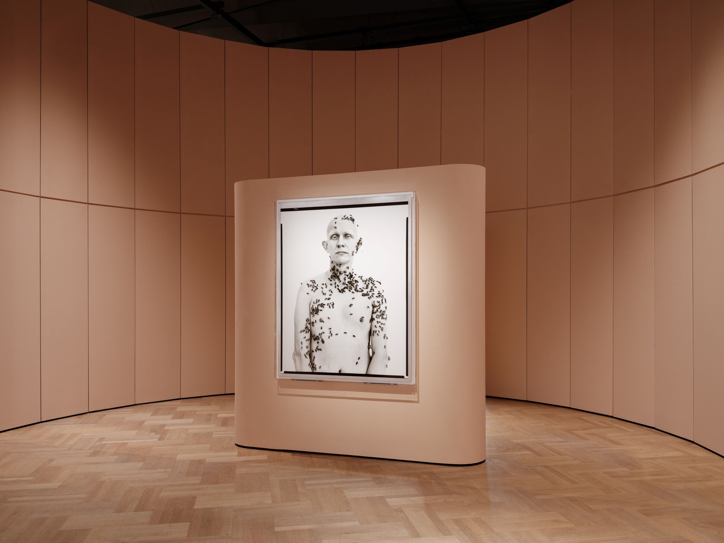 Fragile Beauty | Studio ZNA | Archello