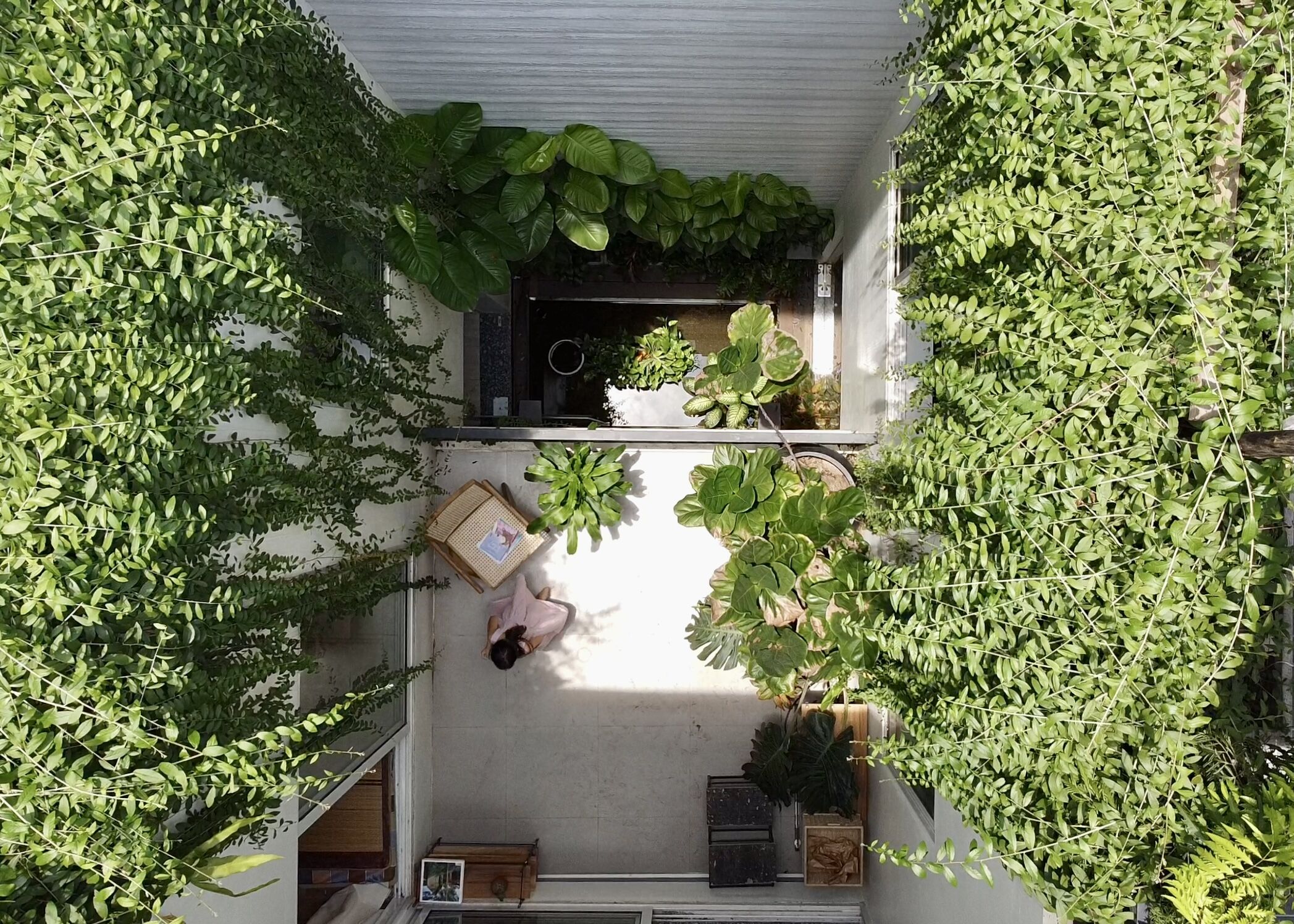 Gallery of June House | S.LA architecture | Media - 3