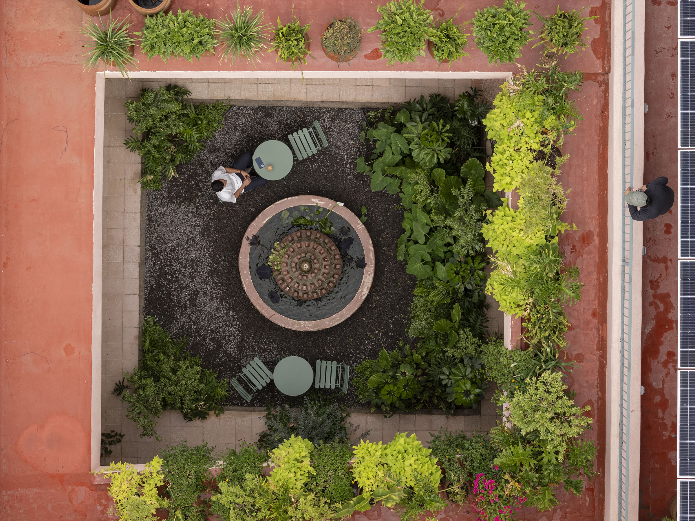 Gallery of Libertad 1416 | BAJA | Architectural Design | Media - 9